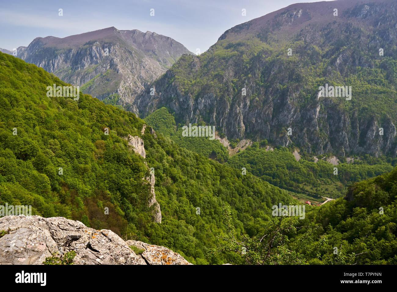 Afforested hi-res stock photography and images - Alamy