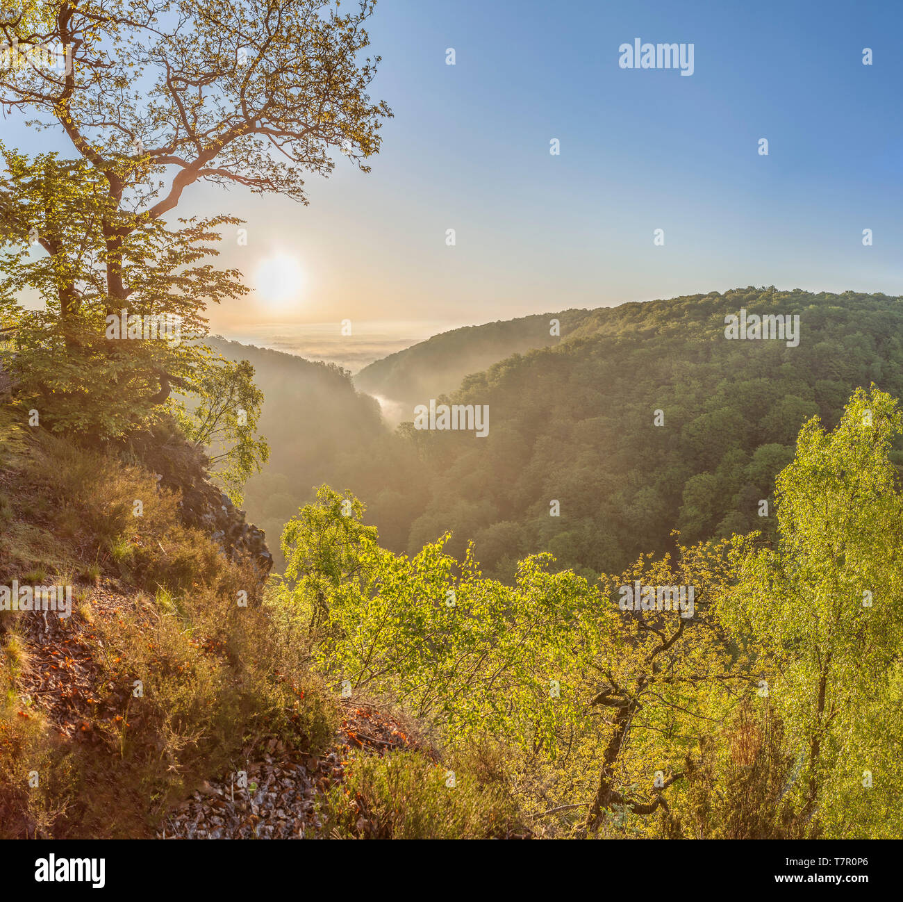 Kopparhatten hi-res stock photography and images - Alamy