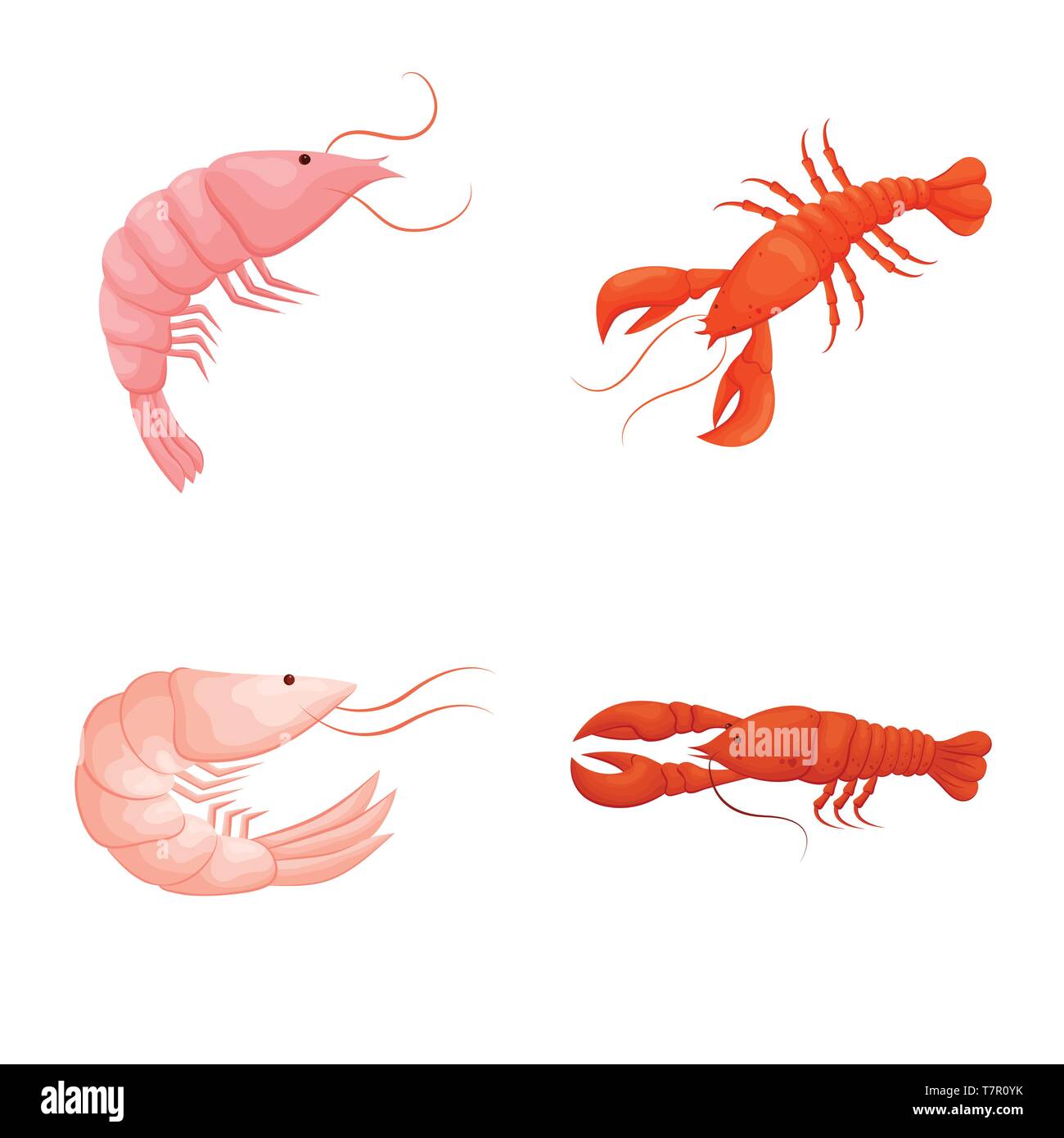 prawn,lobster,crayfish,raw,red,creature,cooked,underwater,boiled,luxury ...