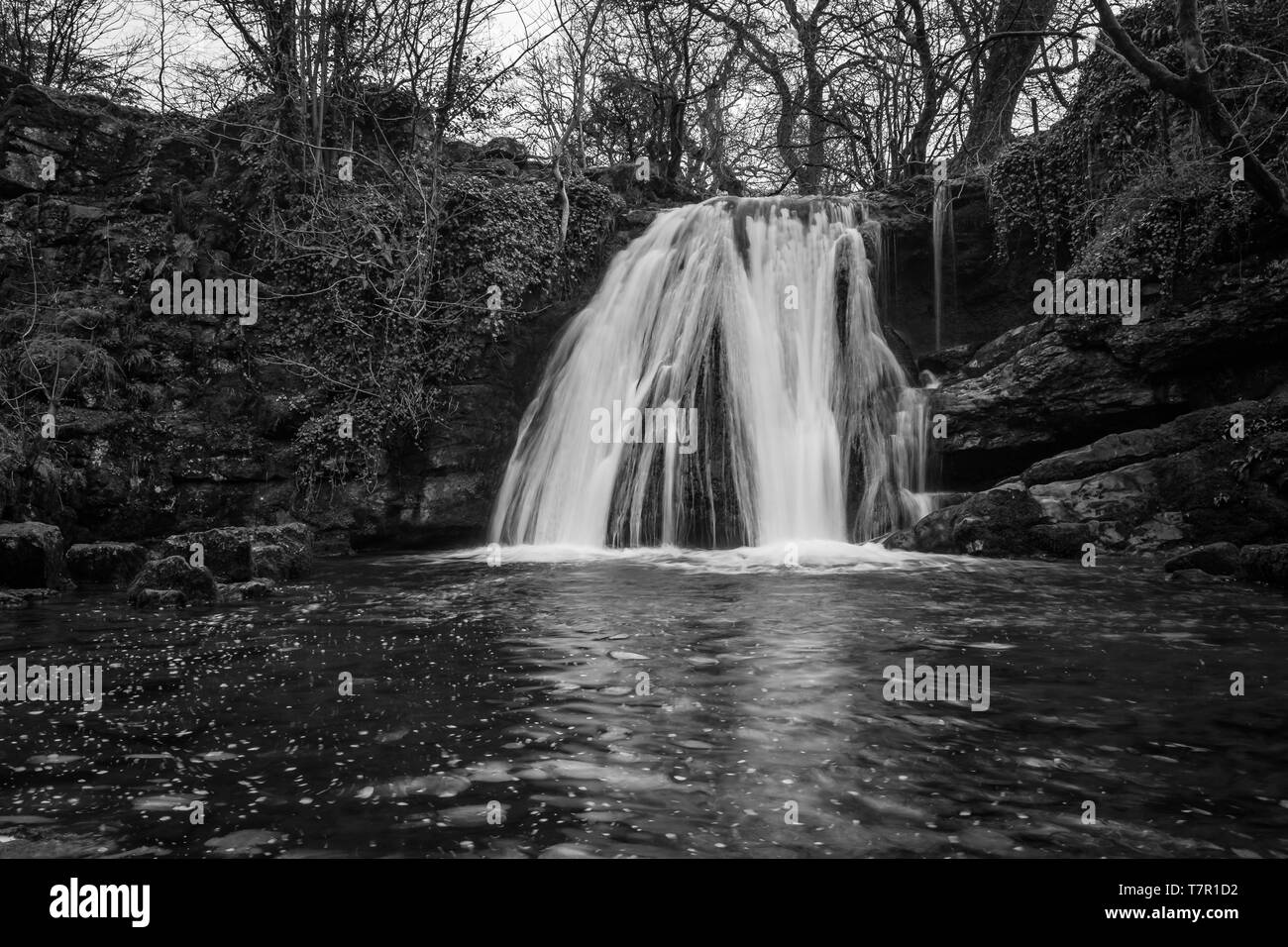 Foss image hi-res stock photography and images - Alamy