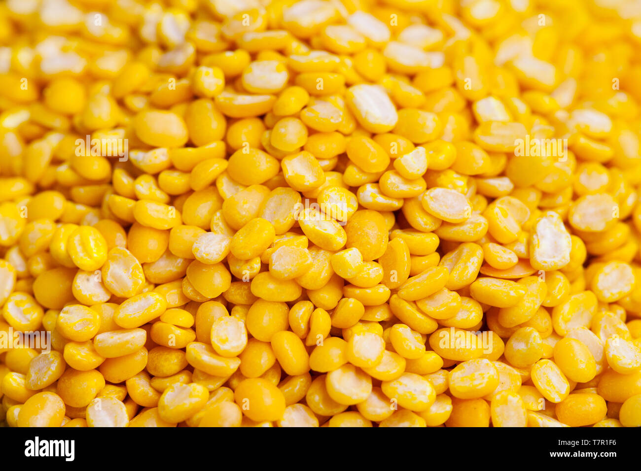 Lentil crop hi-res stock photography and images - Alamy