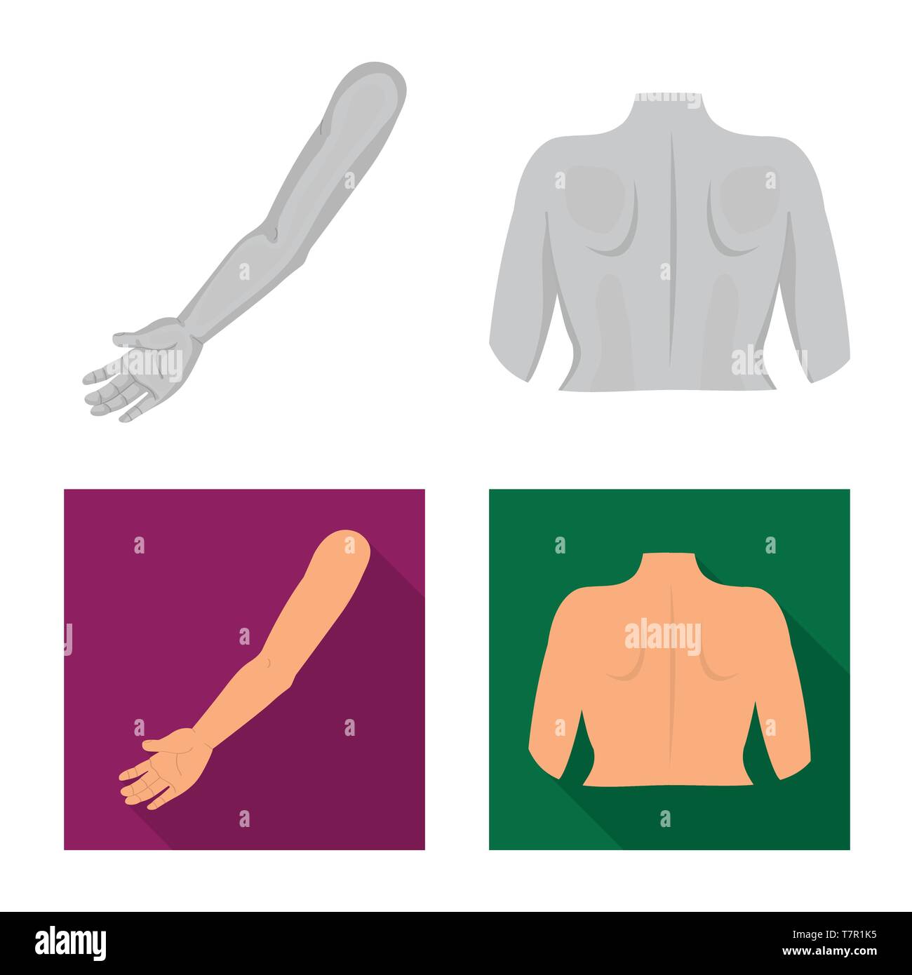 Isolated object of body and part icon. Collection of body and anatomy ...