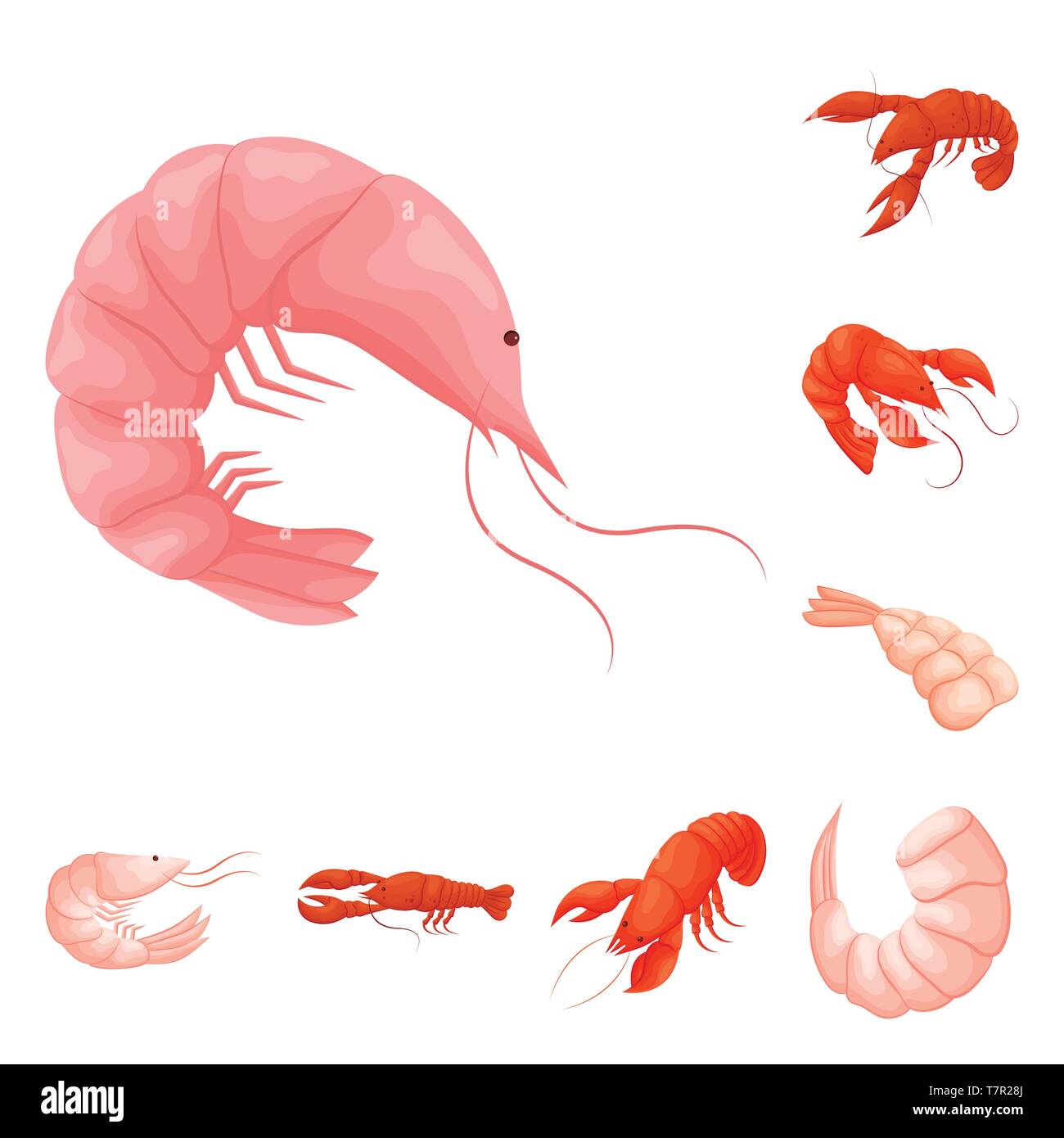 Vector illustration of shrimp and crab sign. Set of shrimp and sea ...