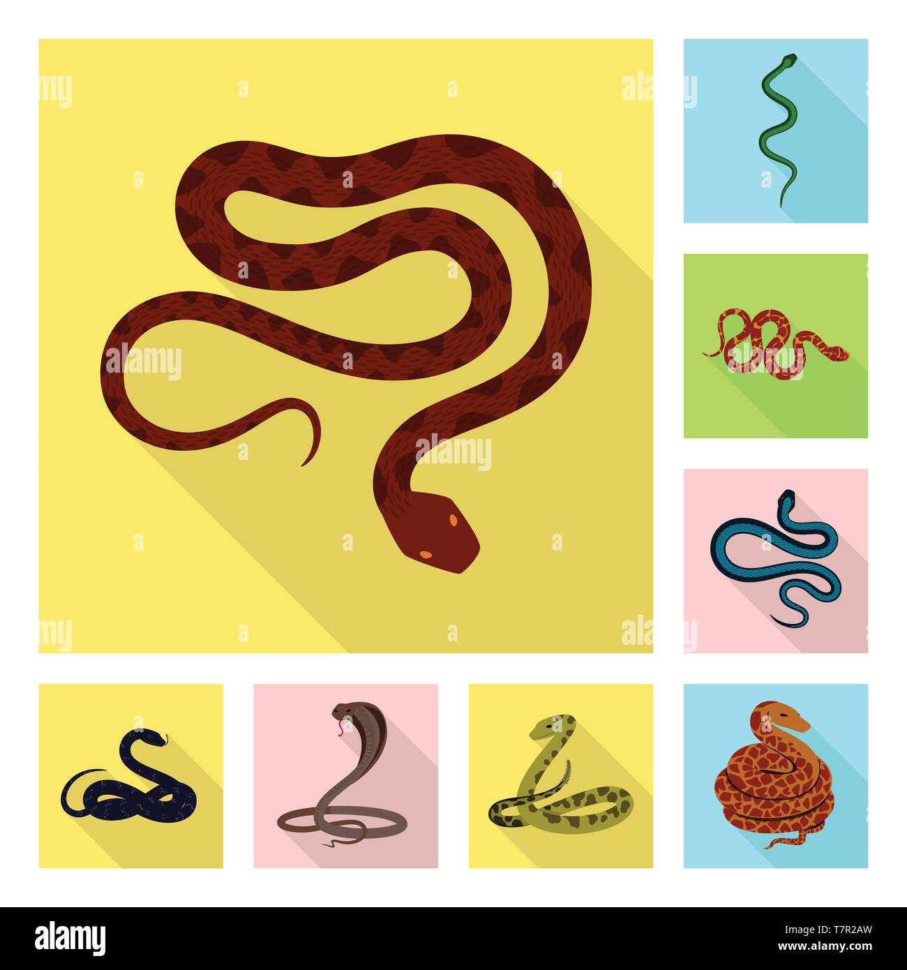 Vector Design Of Skin And Reptile Icon Set Of Skin And Danger Stock Vector Illustration Stock