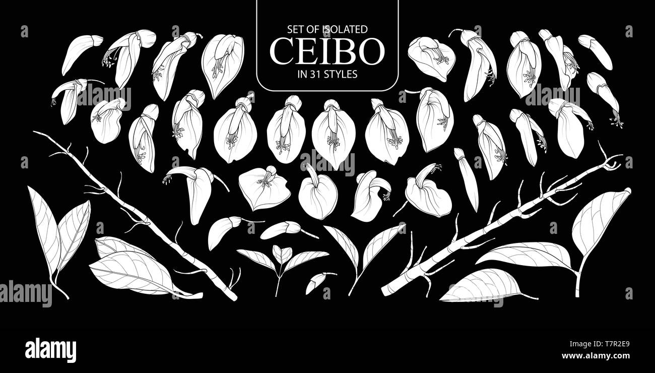 Set of isolated white silhouette Ceibo in 31 styles. Cute hand drawn ...