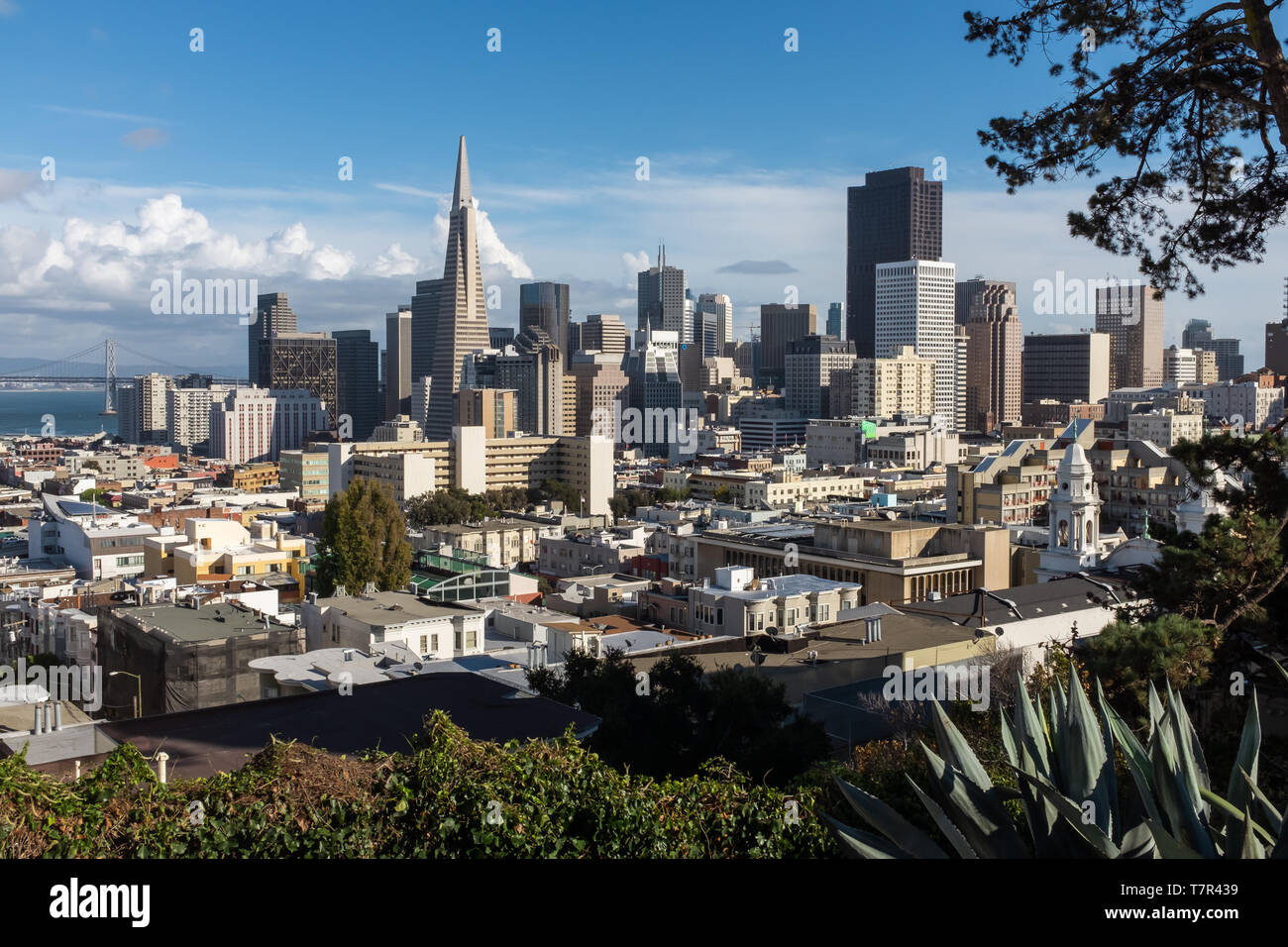 The view of the modern skyline of San Francisco from Russian Hill ...