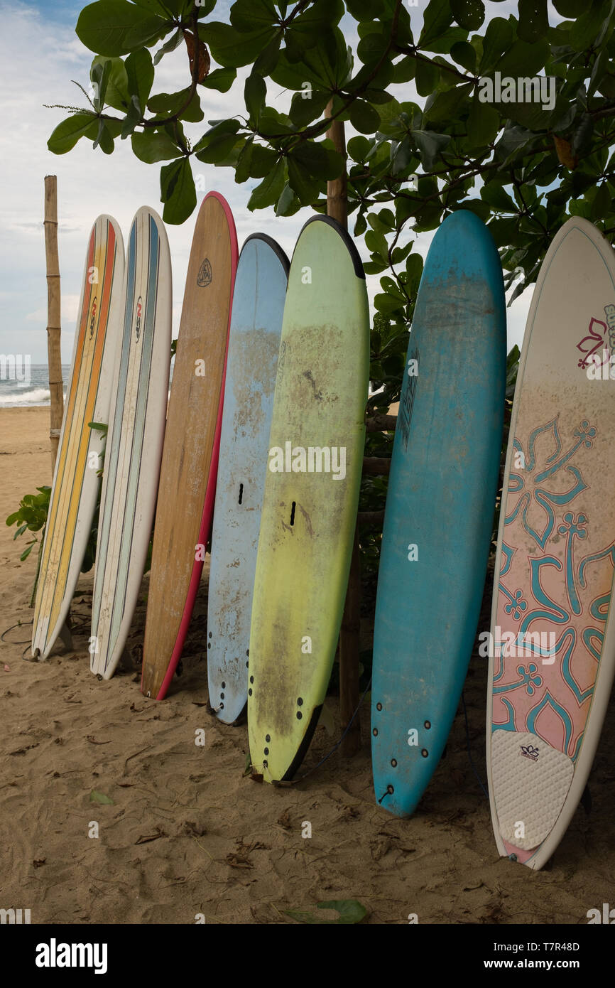 Long Surf Board High Resolution Stock Photography and Images - Alamy
