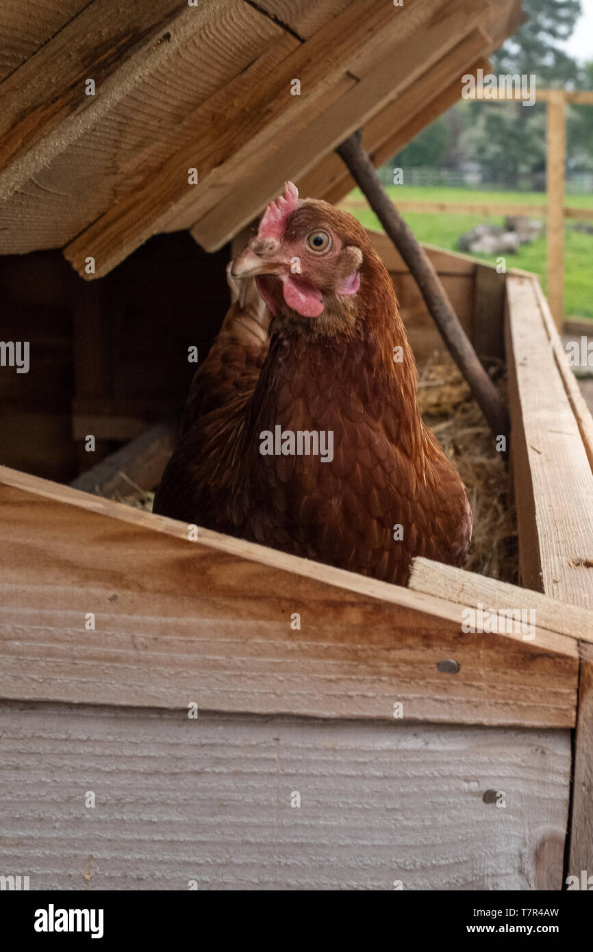 Pops range hi-res stock photography and images - Alamy