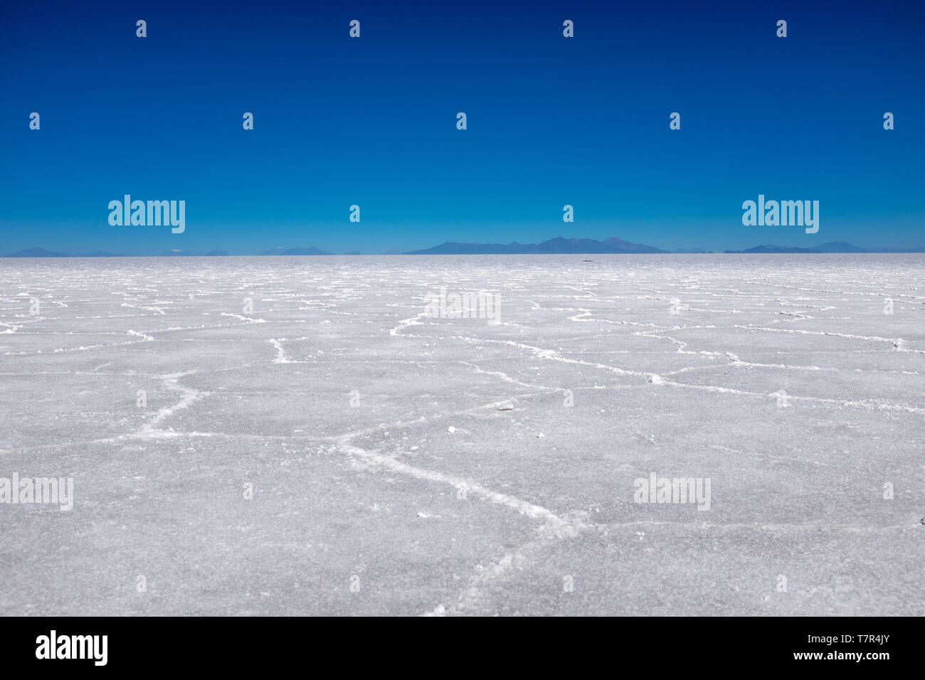 The amazing white vast landscape of the largest salt plain in the world ...