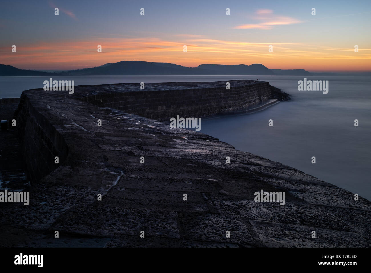 The famous Lyme Regis, Cobb, snaking out to sea with the sun rising ...