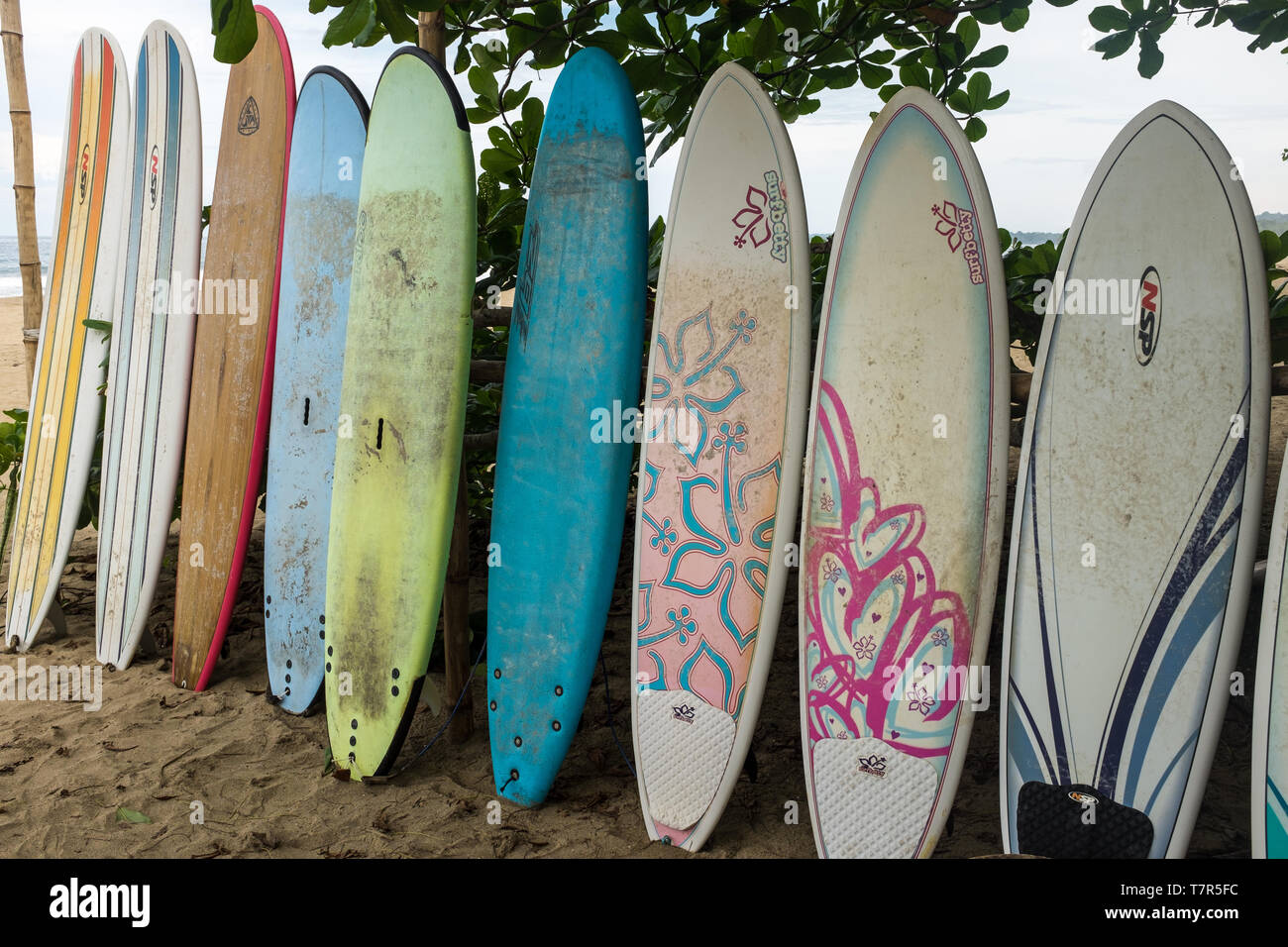 A close up of a row of multi-coloured surf long boards lined up for ...