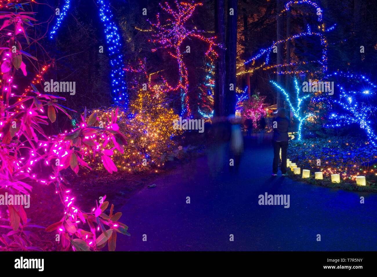 Portland, Oregon, USA, December, 31, 2015: a trial of sparkling lights ...