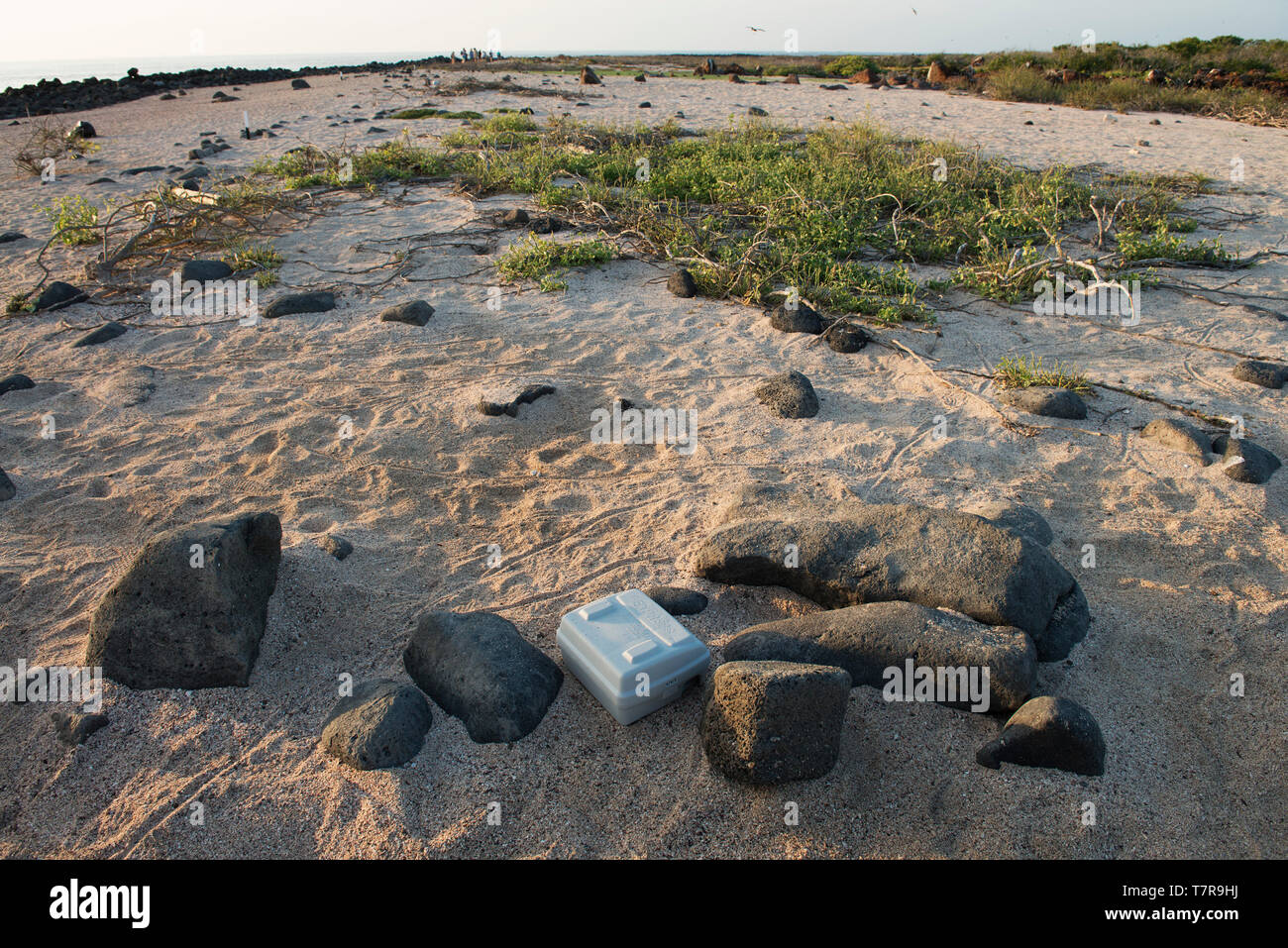The Galapagos Islands ,source for evolution theory by Darwin, the ...