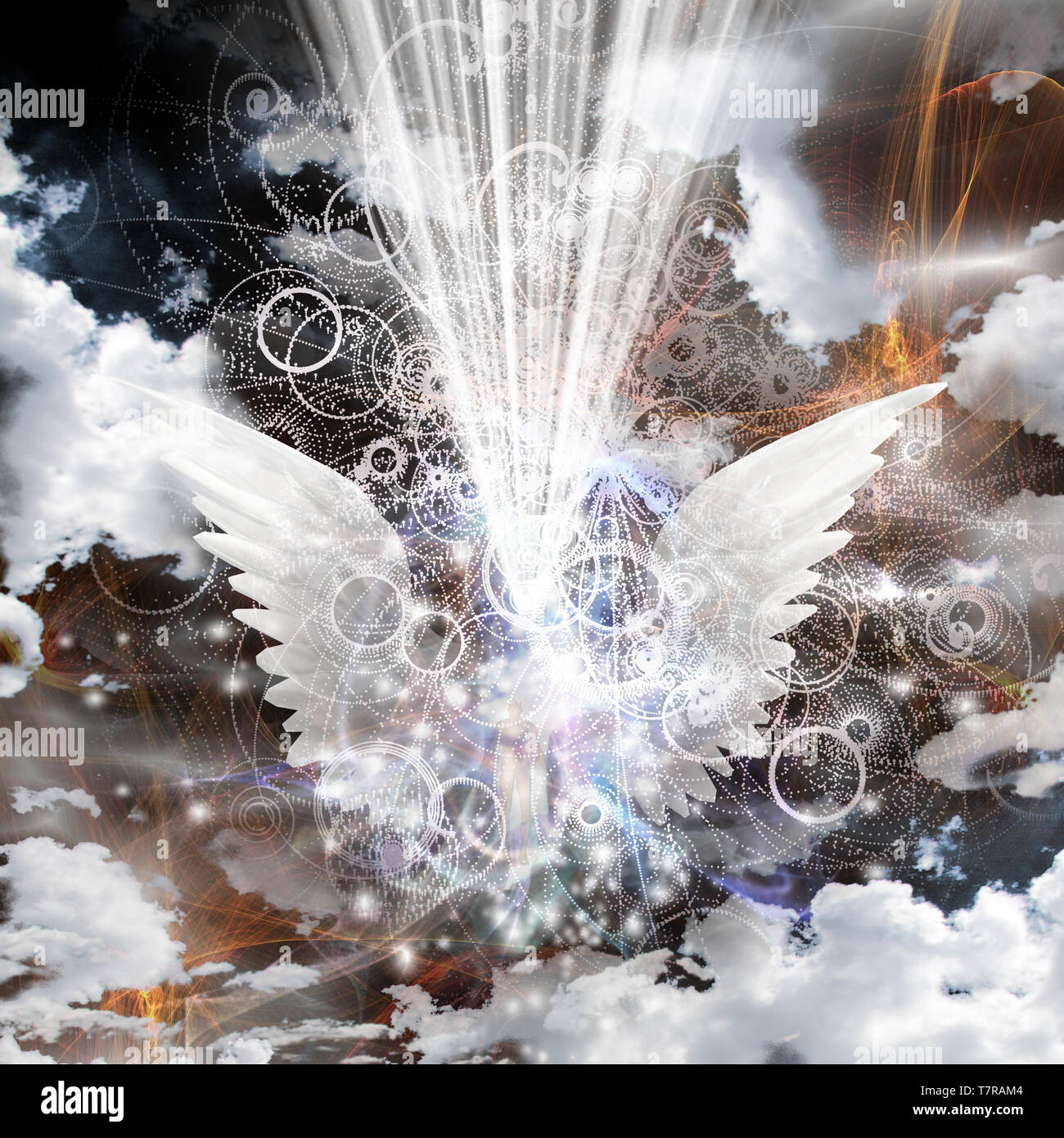 Humans With Angel Wings