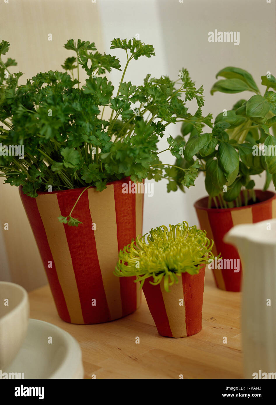 Striped pots hi-res stock photography and images - Alamy
