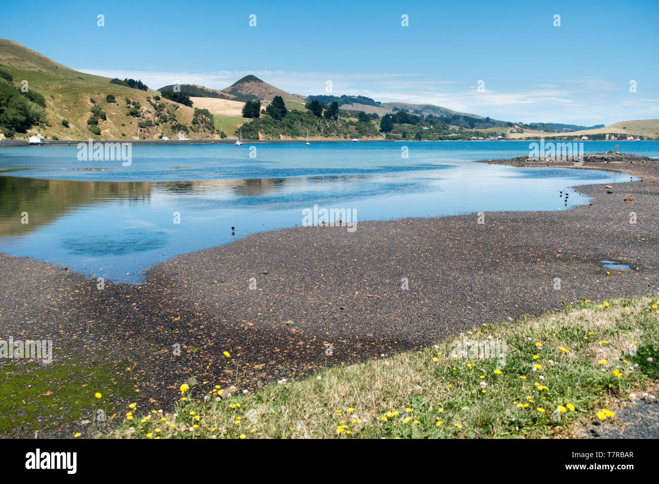 The Otago Peninsular near Dunedin on NZ's South Island is a nature ...