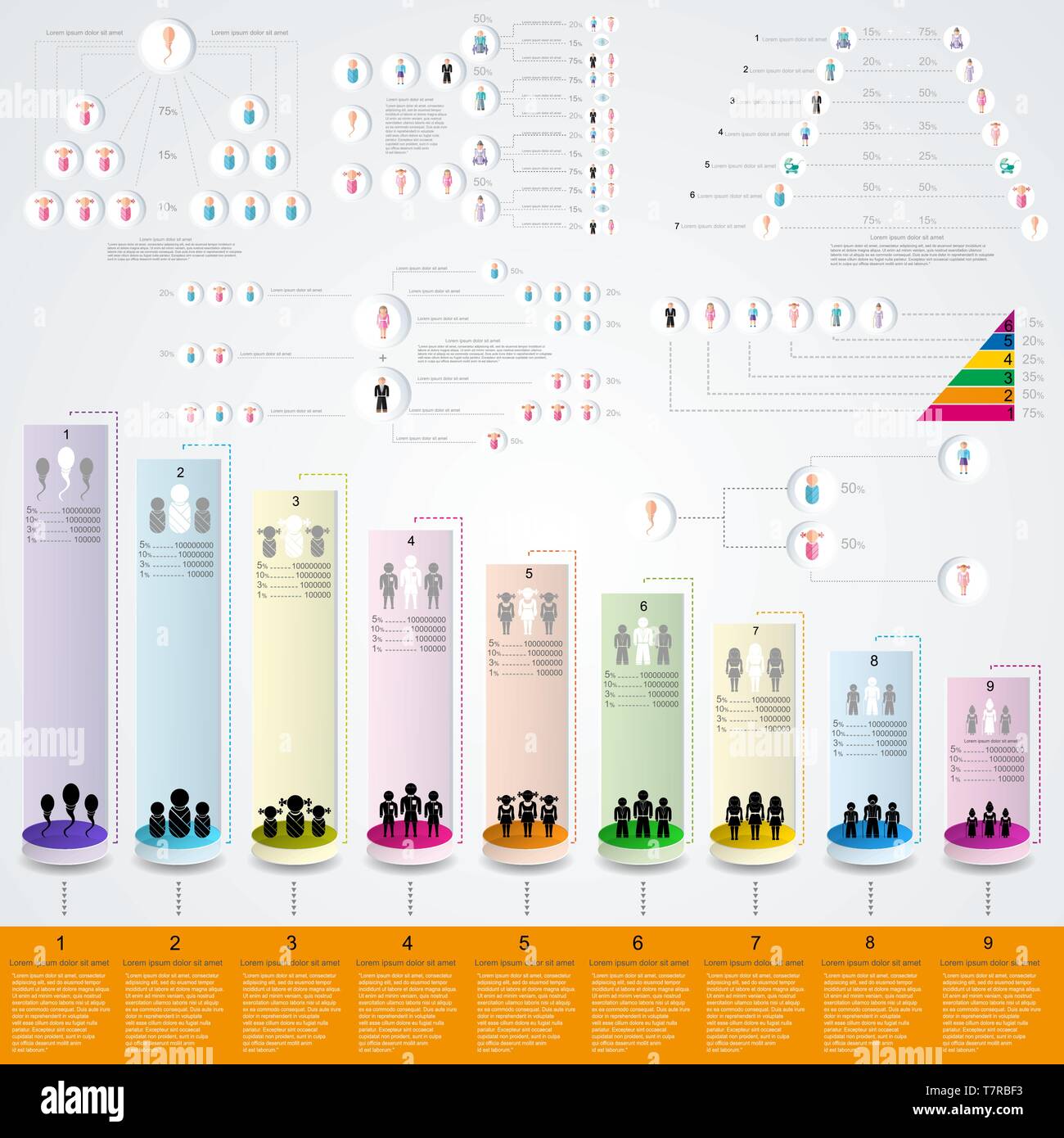 set of flat design of social infographics birthrate pension and other ...