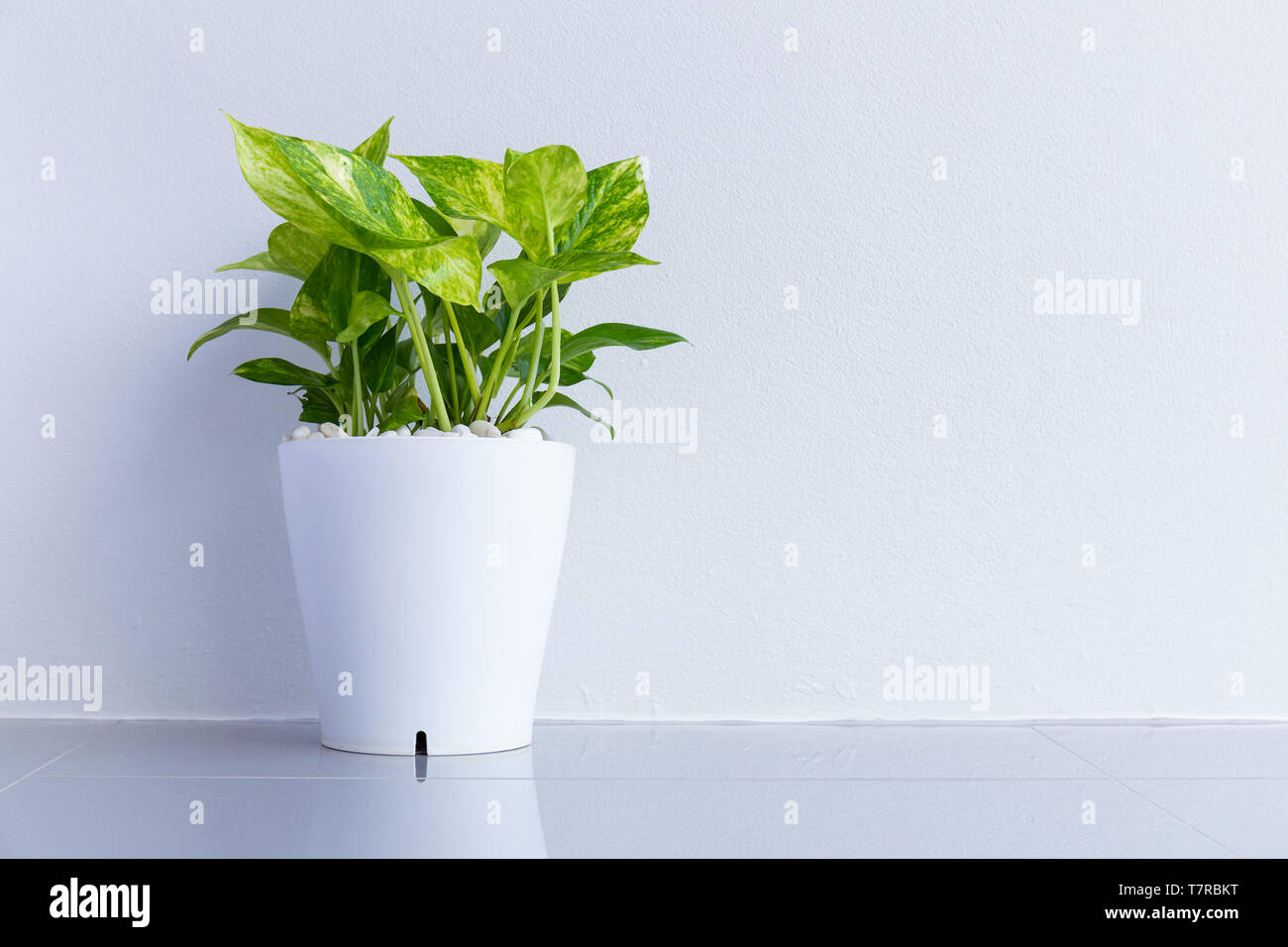 Money flows hi-res stock photography and images - Alamy