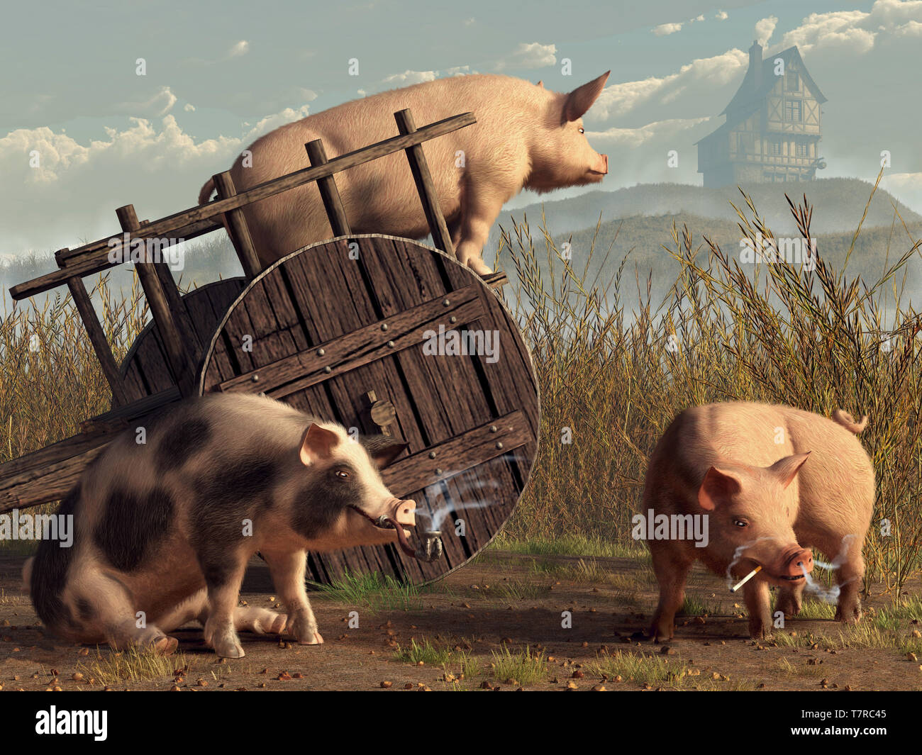 Pig in cart hi-res stock photography and images - Alamy