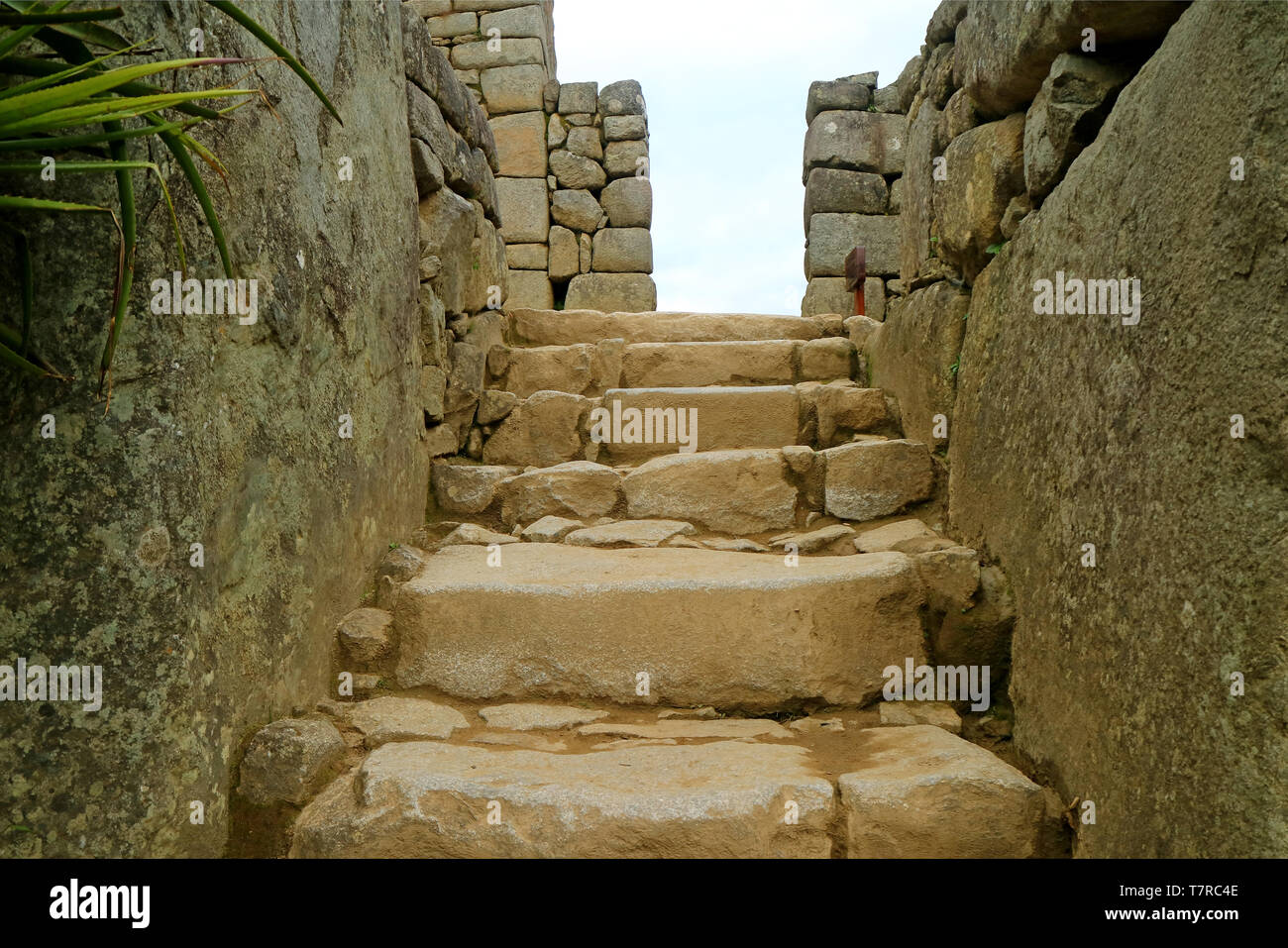 Inside machu picchu hi-res stock photography and images - Alamy