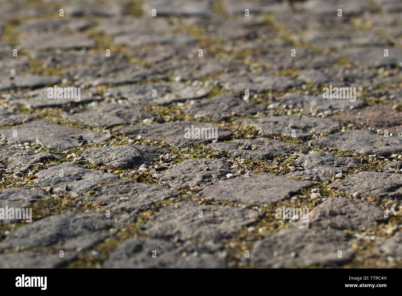 Pavement joints hi-res stock photography and images - Alamy
