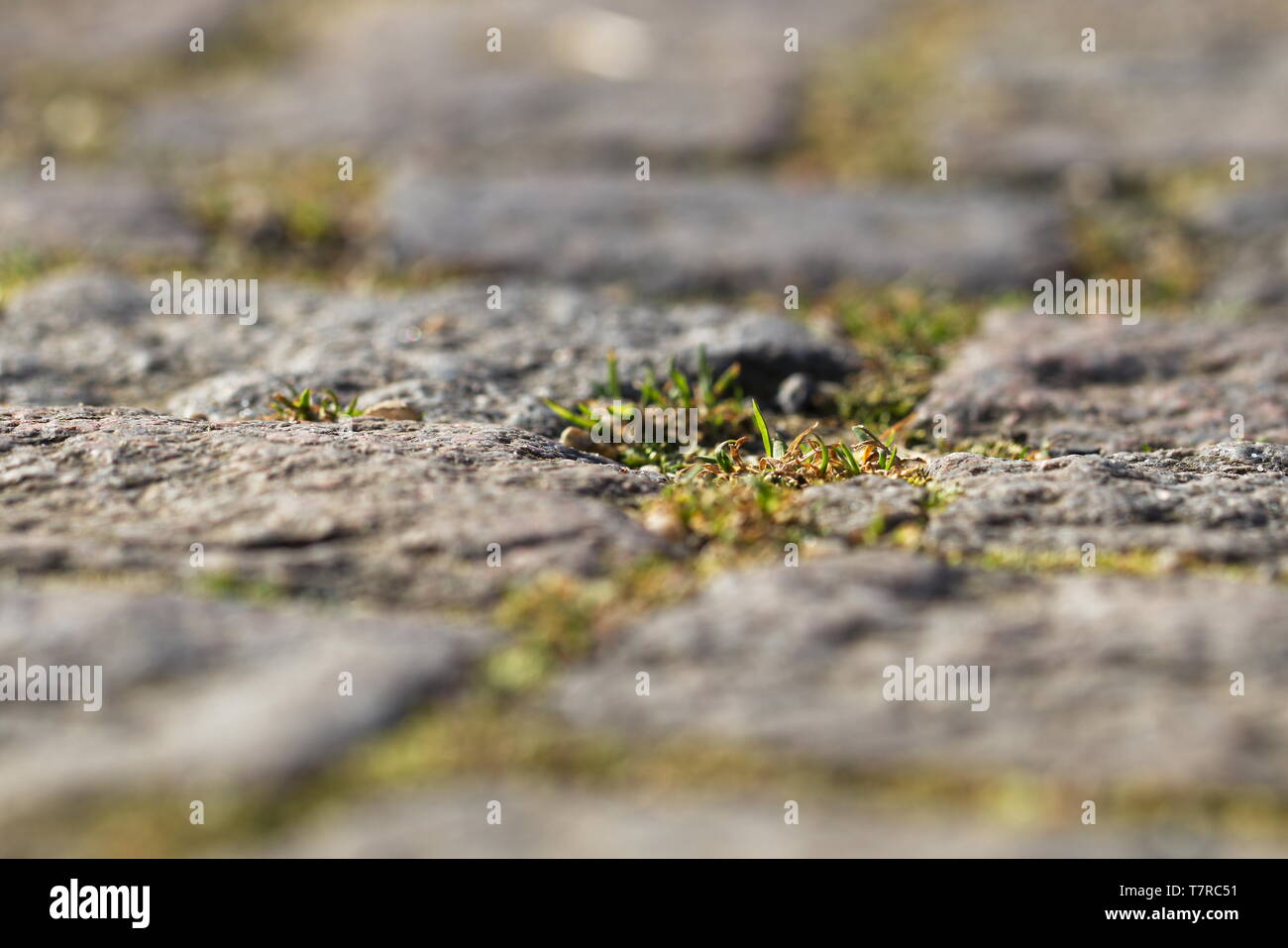 This stone pavement closeup is a little part of walks and places in an ...