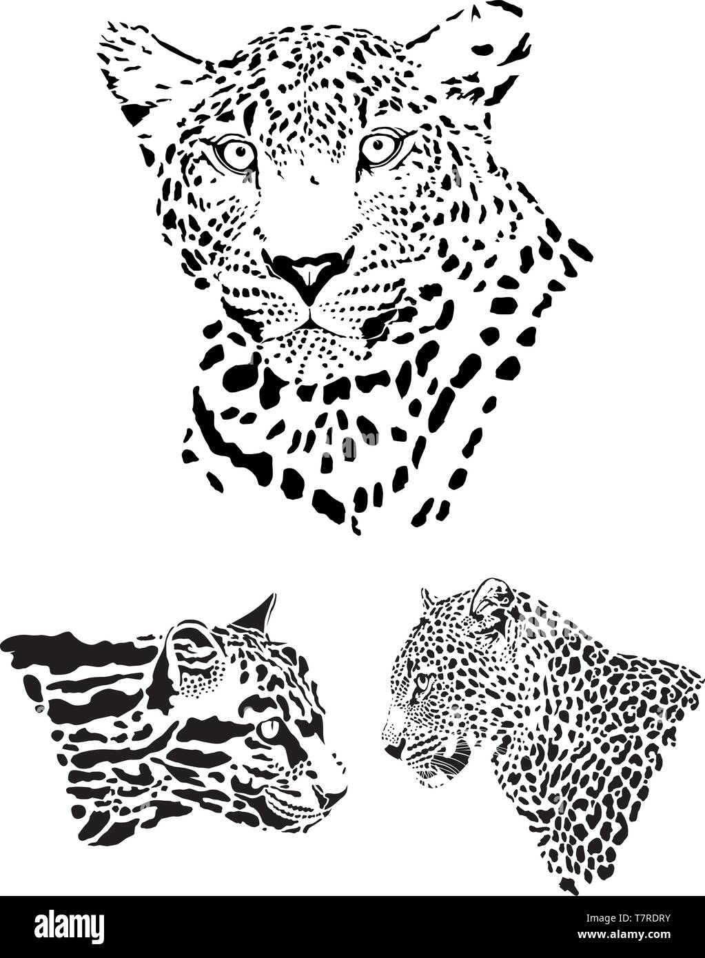 Leopard art hi-res stock photography and images - Alamy