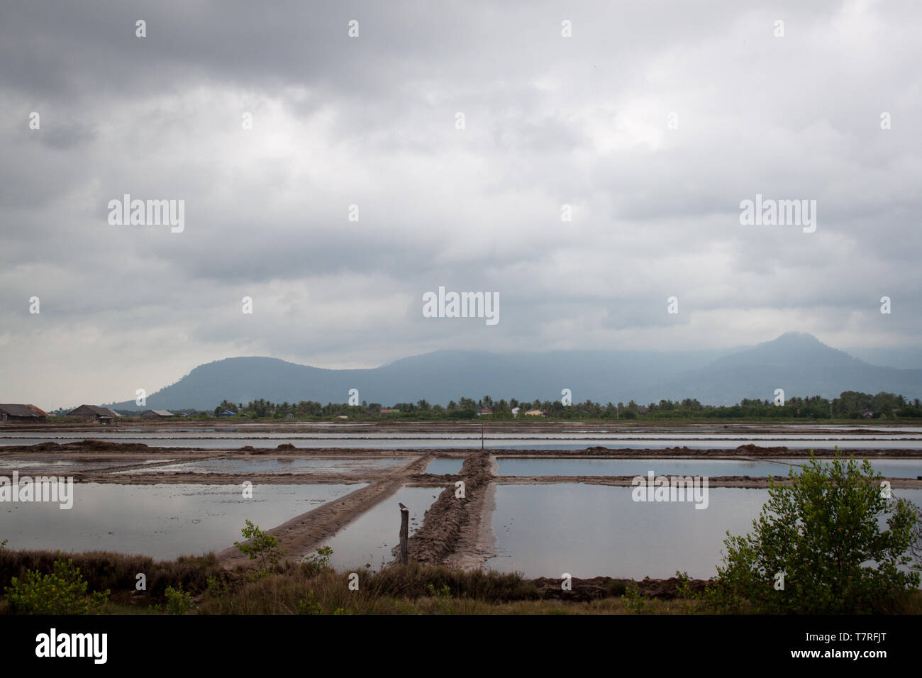 Kampot salt fields, Cambodia Stock Photo - Alamy