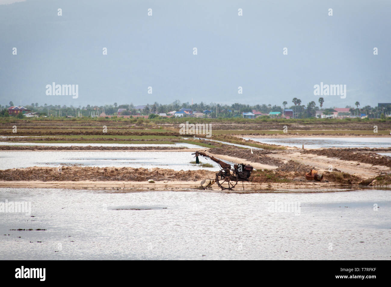 Kampot salt fields, Cambodia Stock Photo - Alamy