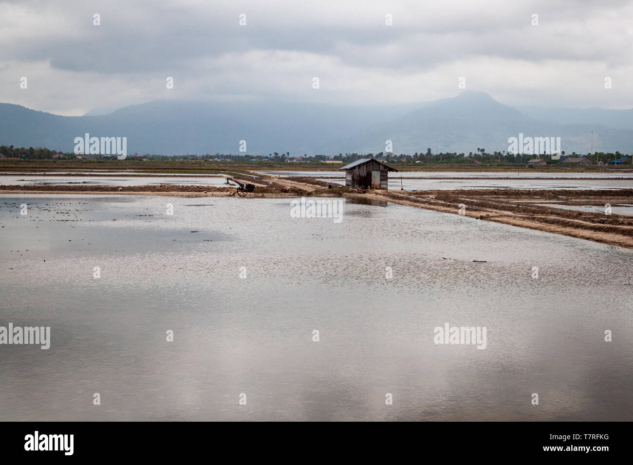 Kampot salt fields, Cambodia Stock Photo - Alamy