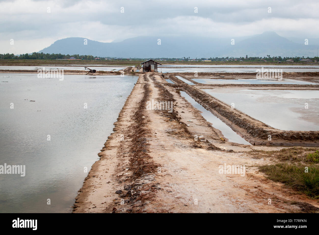 Kampot salt fields, Cambodia Stock Photo - Alamy