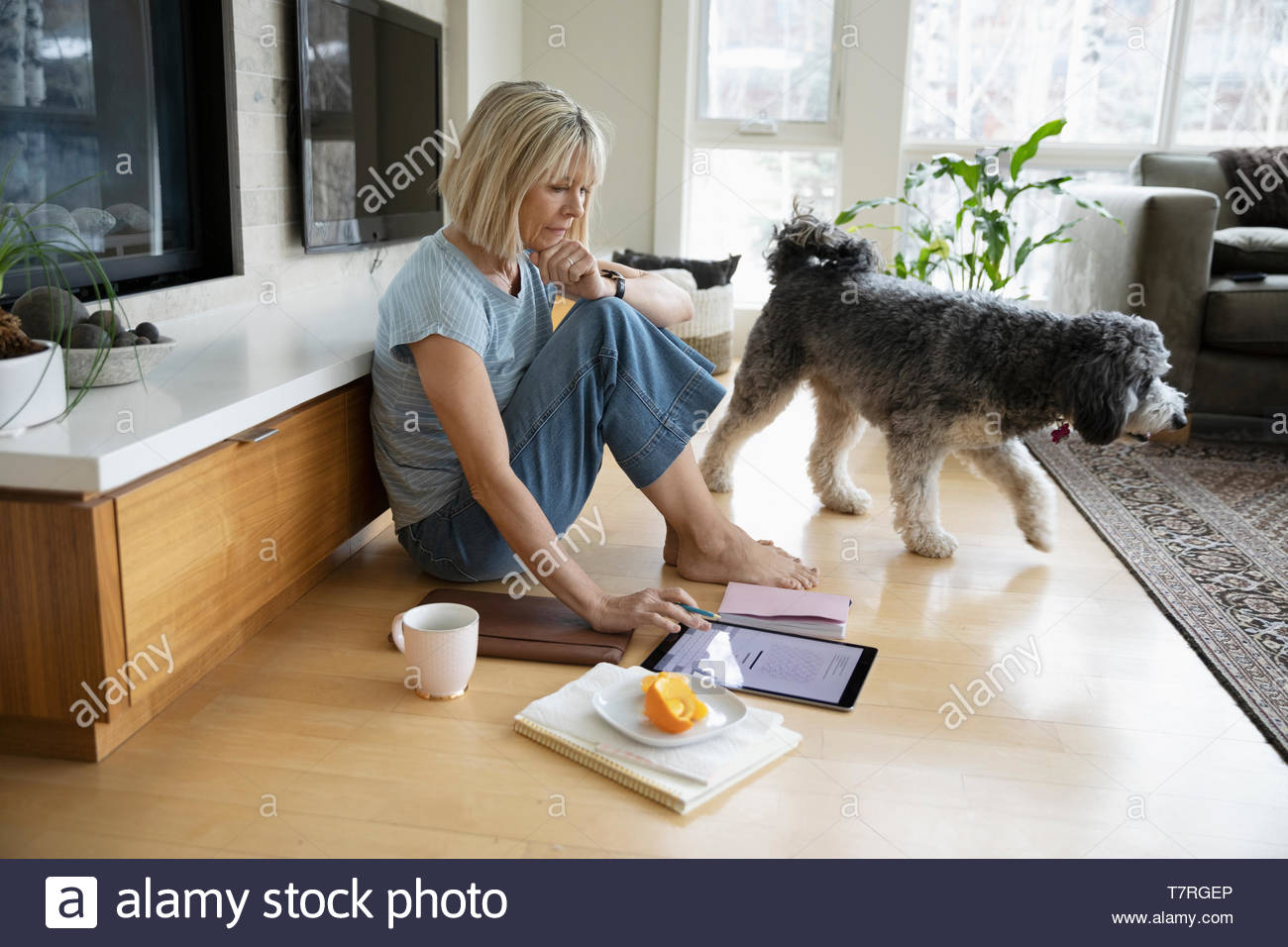 Working at home with dog hi-res stock photography and images - Alamy