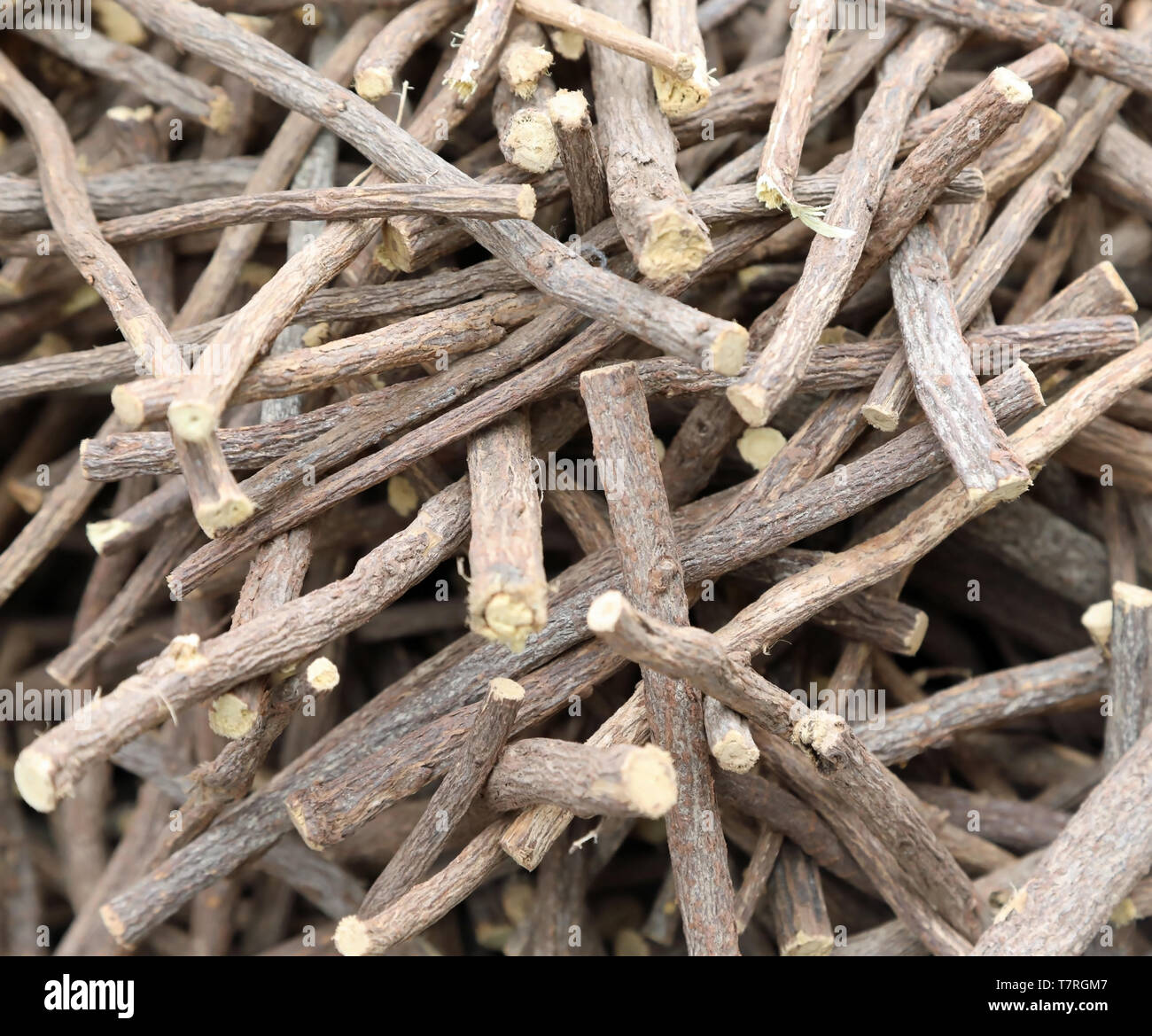 many dried licorice roots for sale at european market Stock Photo - Alamy