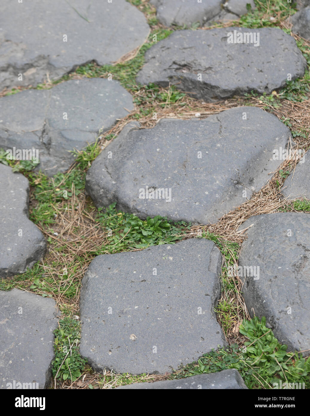 big stone to make an ancient Roman Road in Rome Italy Stock Photo - Alamy