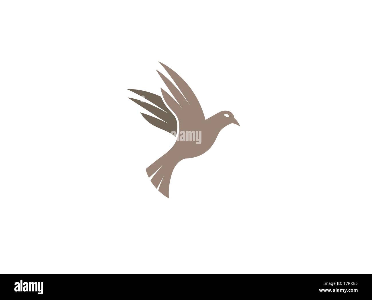 Hawk dove Cut Out Stock Images & Pictures - Alamy