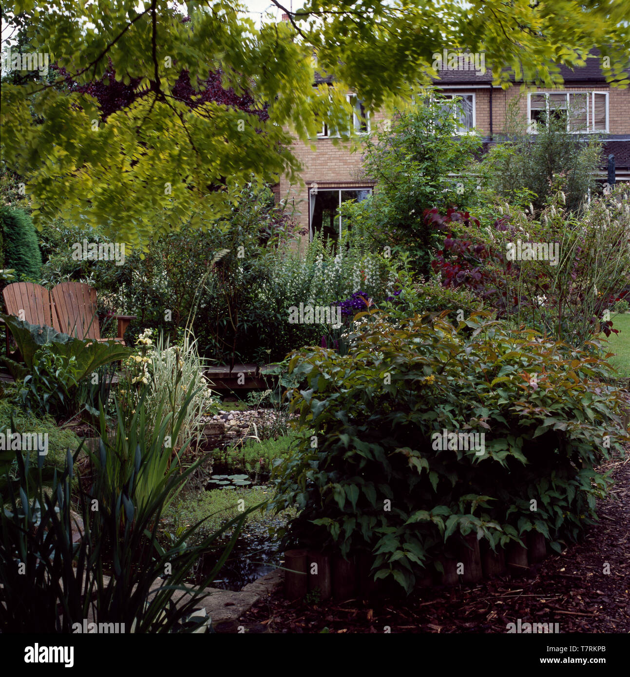 Shrubs around small pool overhung with Robinia pseudoacacia Stock Photo ...