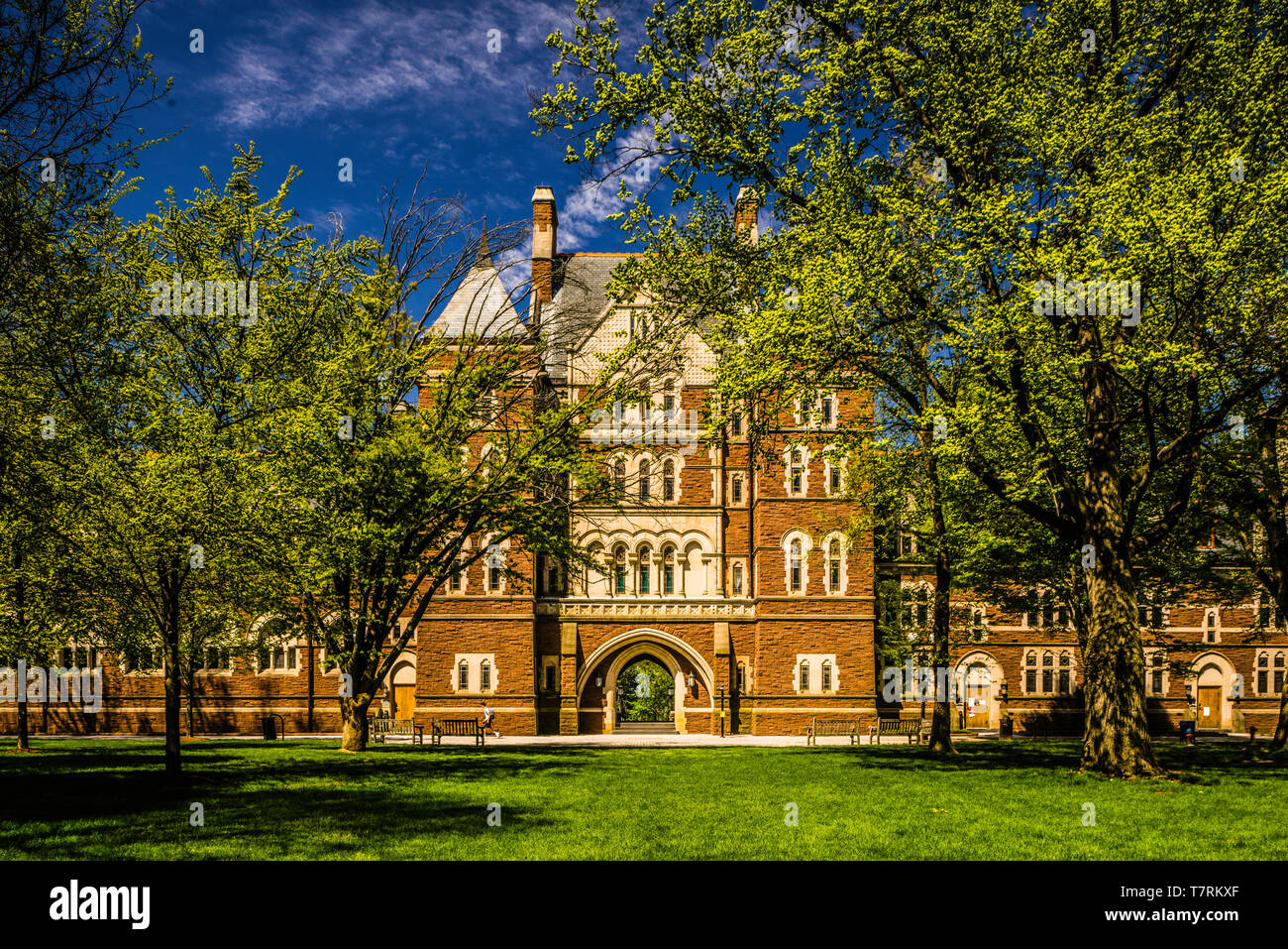 The Long Walk Trinity College Hartford, Connecticut, USA Stock Photo ...