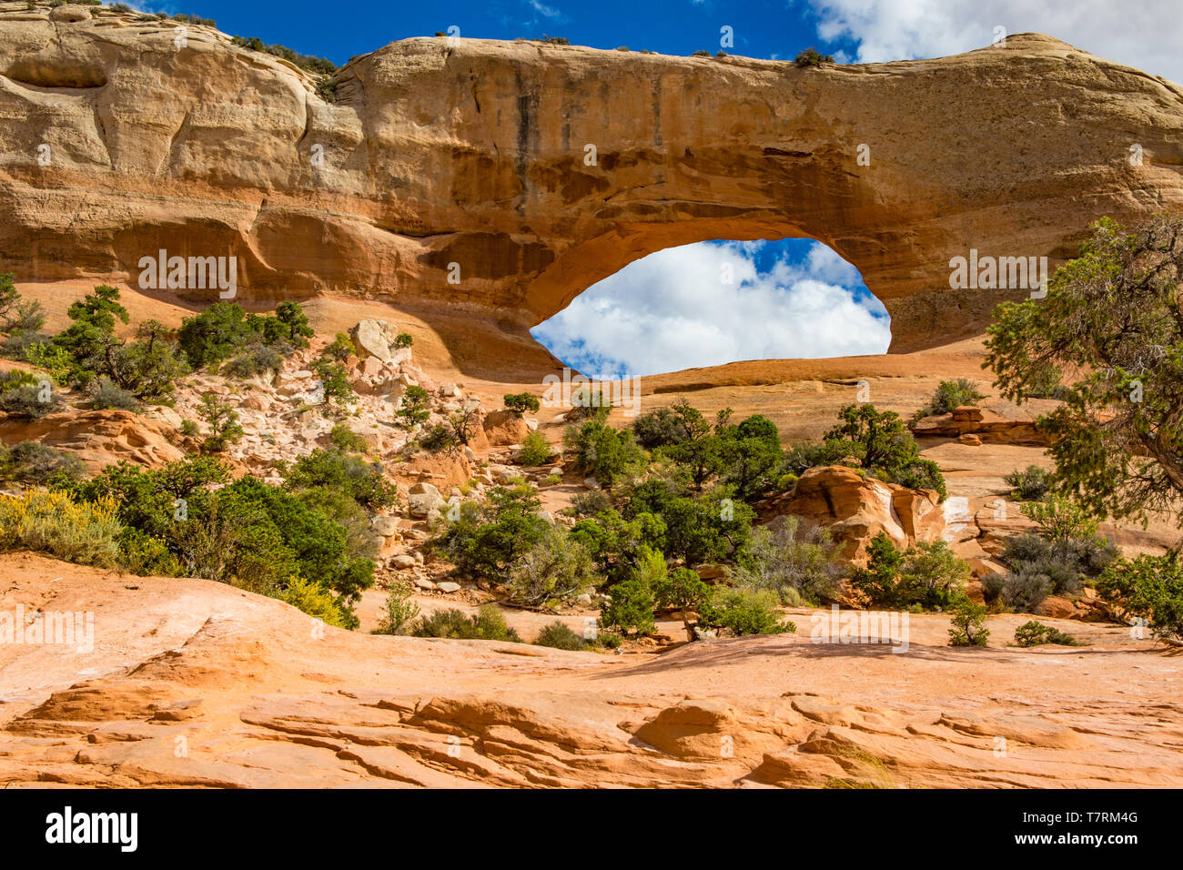 Moab, ut hi-res stock photography and images - Alamy