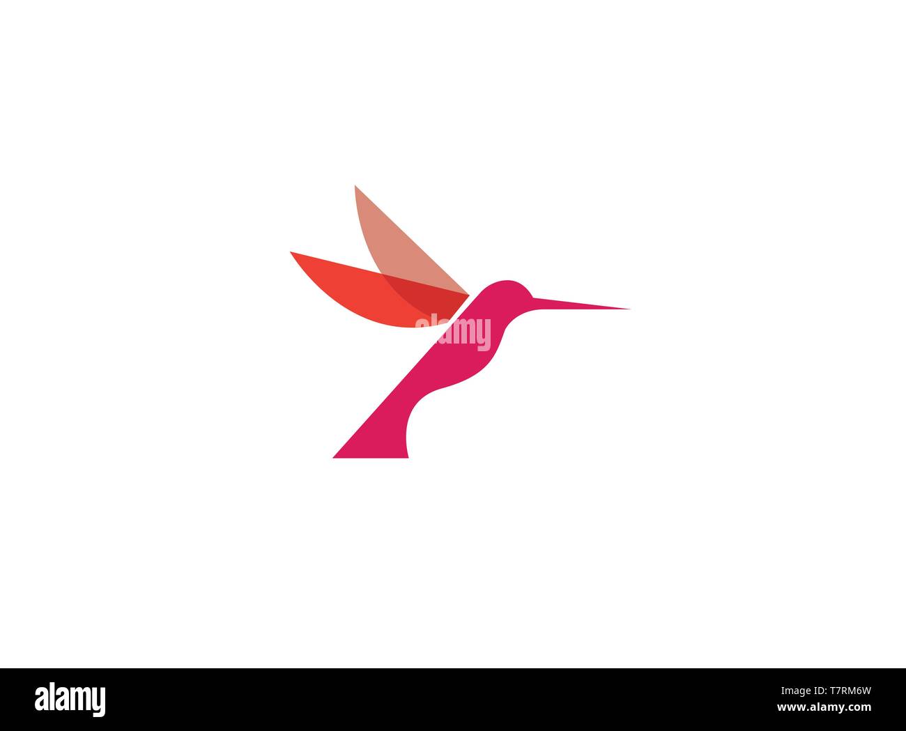 Beautiful flying humming bird Cut Out Stock Images & Pictures - Alamy