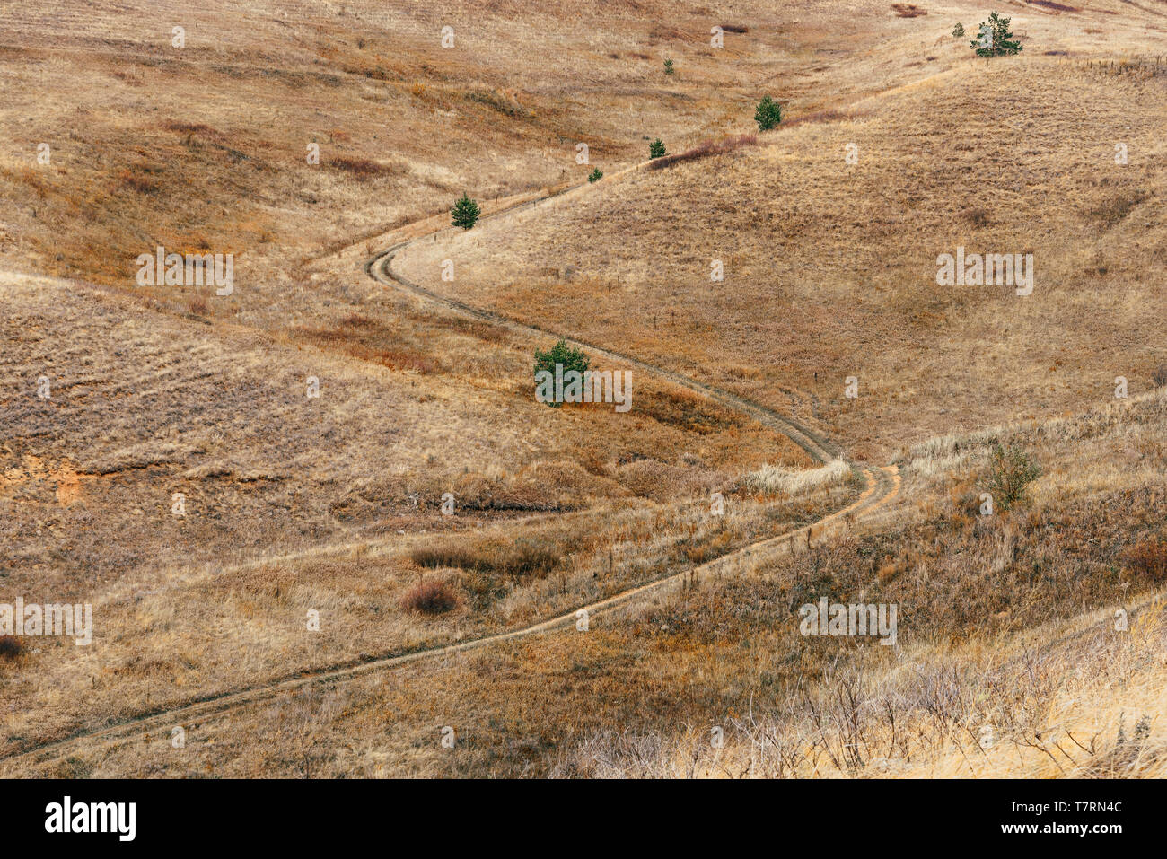 S curve of dirt road on the hillside Stock Photo - Alamy
