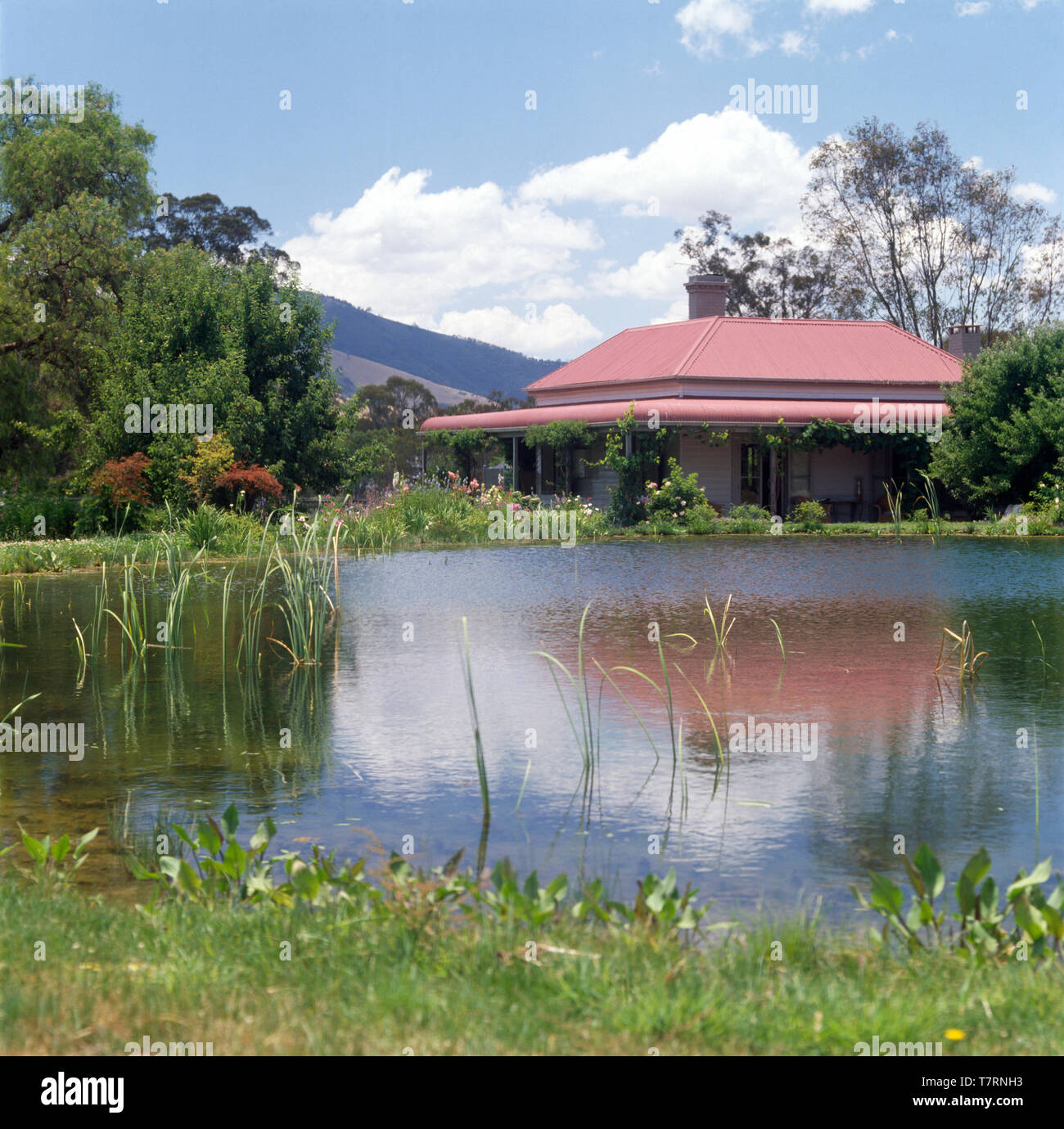 Traditional australian roof hi-res stock photography and images - Alamy