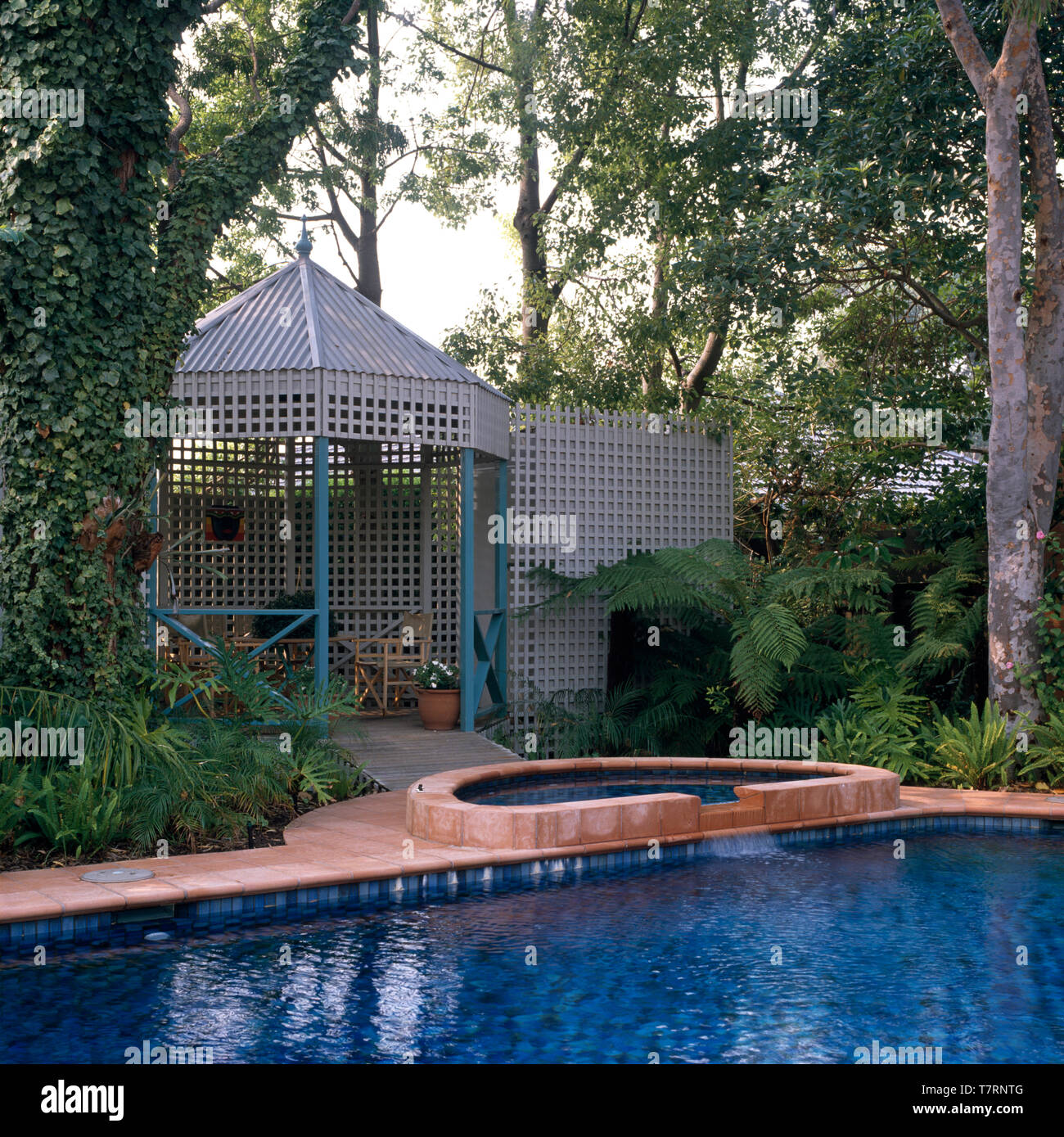 Grey trellis gazebo and fence beside a blue swimming pool Stock Photo ...