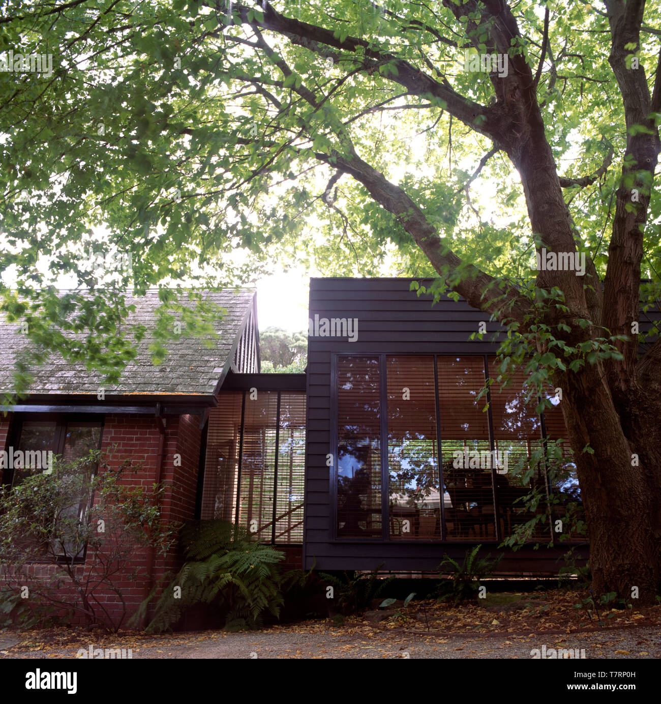 Exterior of a modern single storey house with a glass corridor linking ...