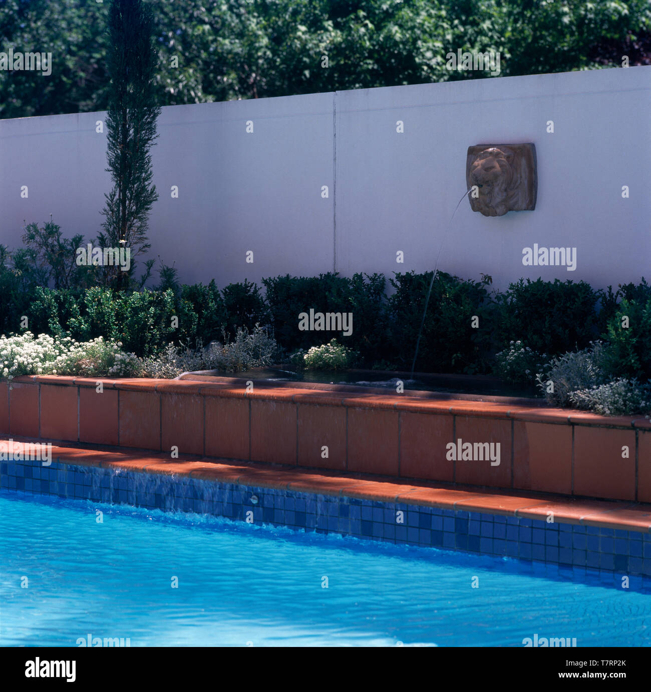 Lions head fountain hi-res stock photography and images - Alamy