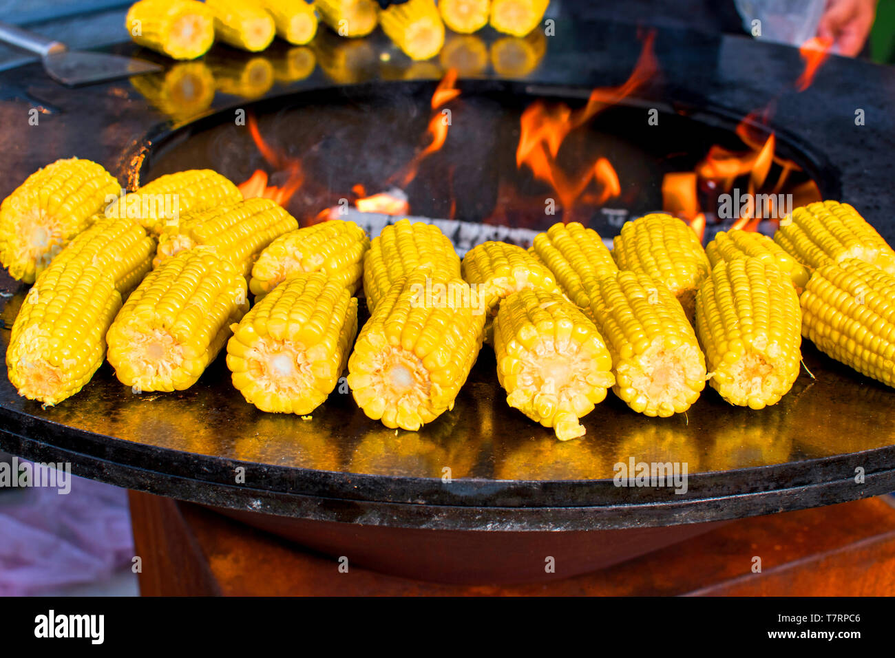 Corn on the cob on the fire ring grilled with open fire deliciously ...