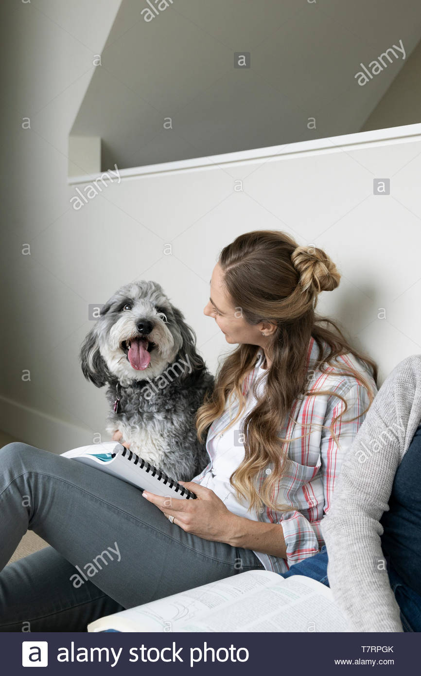Working at home with dog hi-res stock photography and images - Alamy