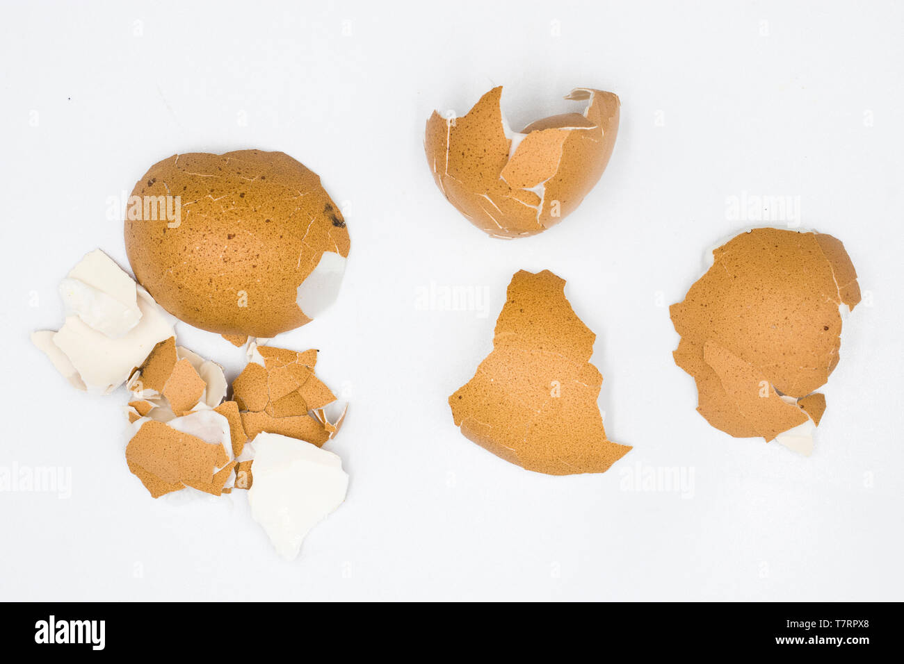 Cracked egg shells isolated on white background High resolution image ...