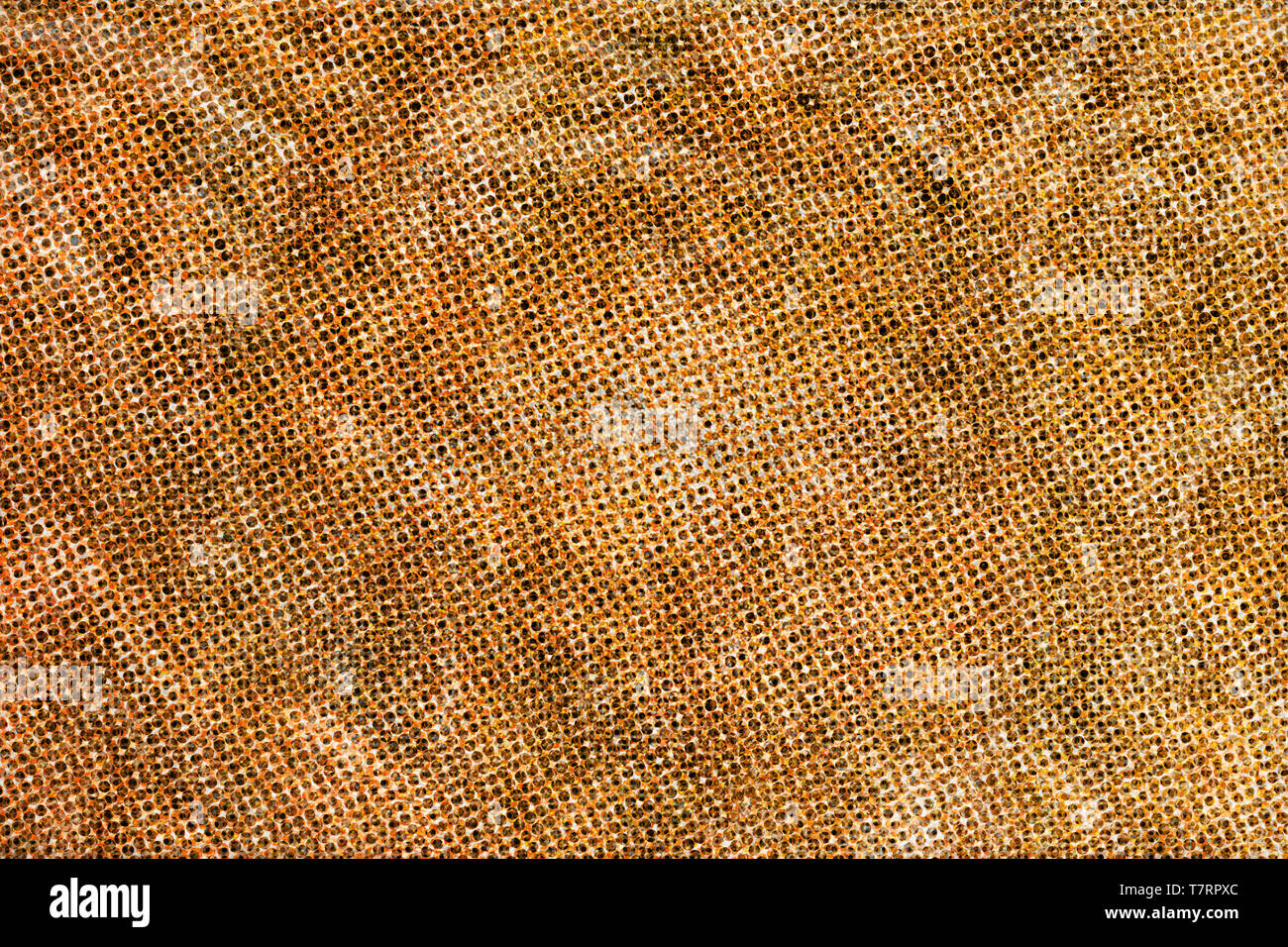 Colorful grunge or rough background overlay filter effect, for graphic ...