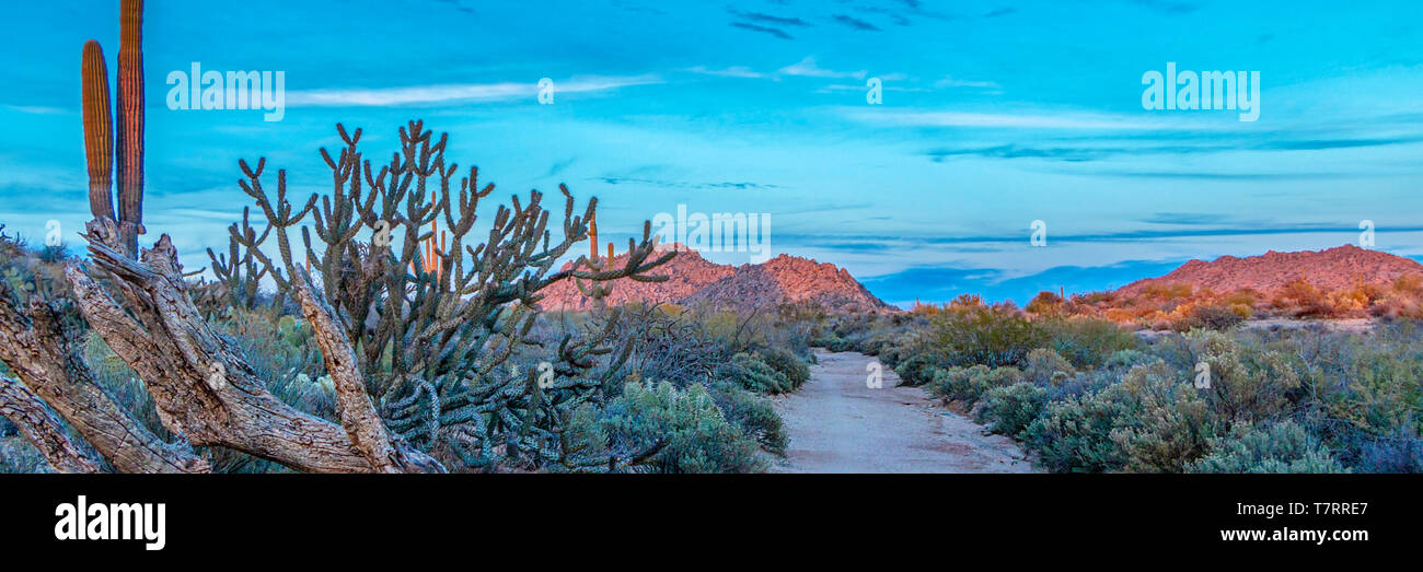 Sunset Desert Road To Nowhere in Arizona Stock Photo - Alamy
