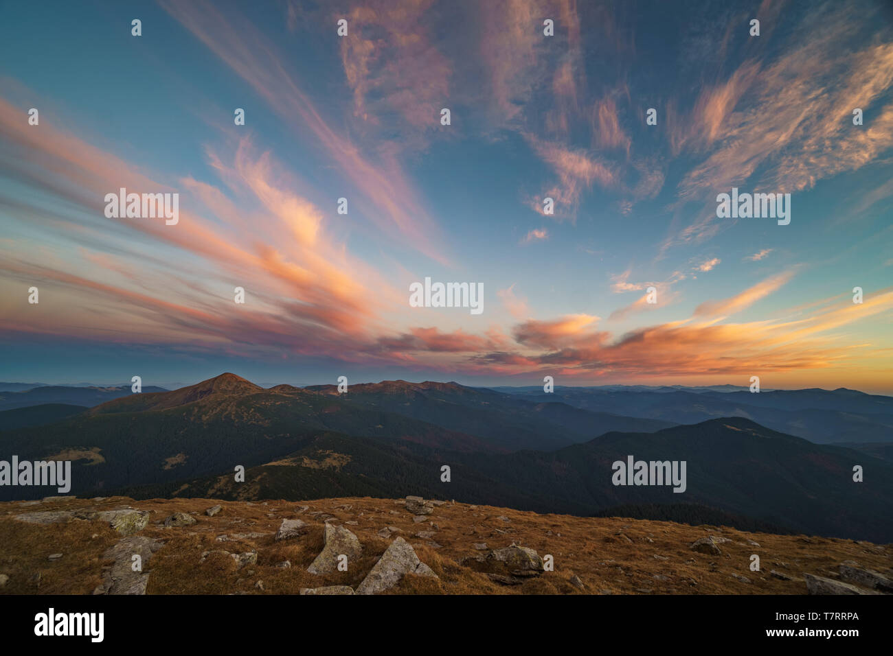 Beautiful landscape at sunset of Mount Hoverla is the highest mountain ...